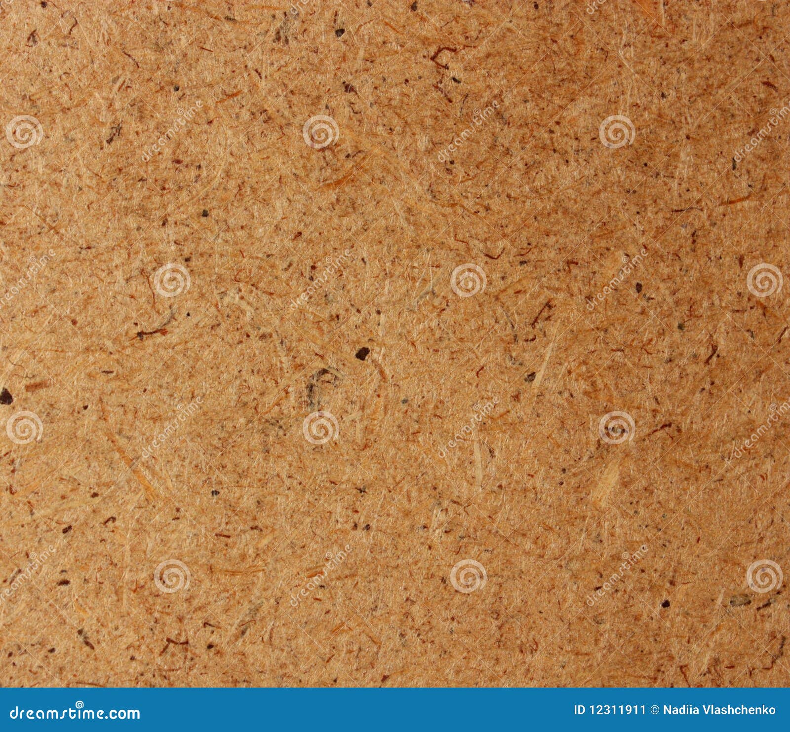 Textura de la cartulina imagen de archivo. Imagen de cartulina - 12311911