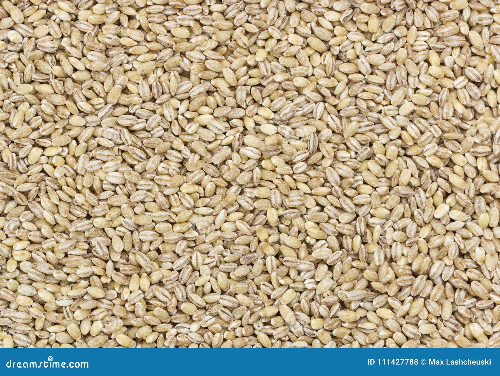 Textura De La Cebada De Perla Foto de archivo - Imagen de ingrediente ...