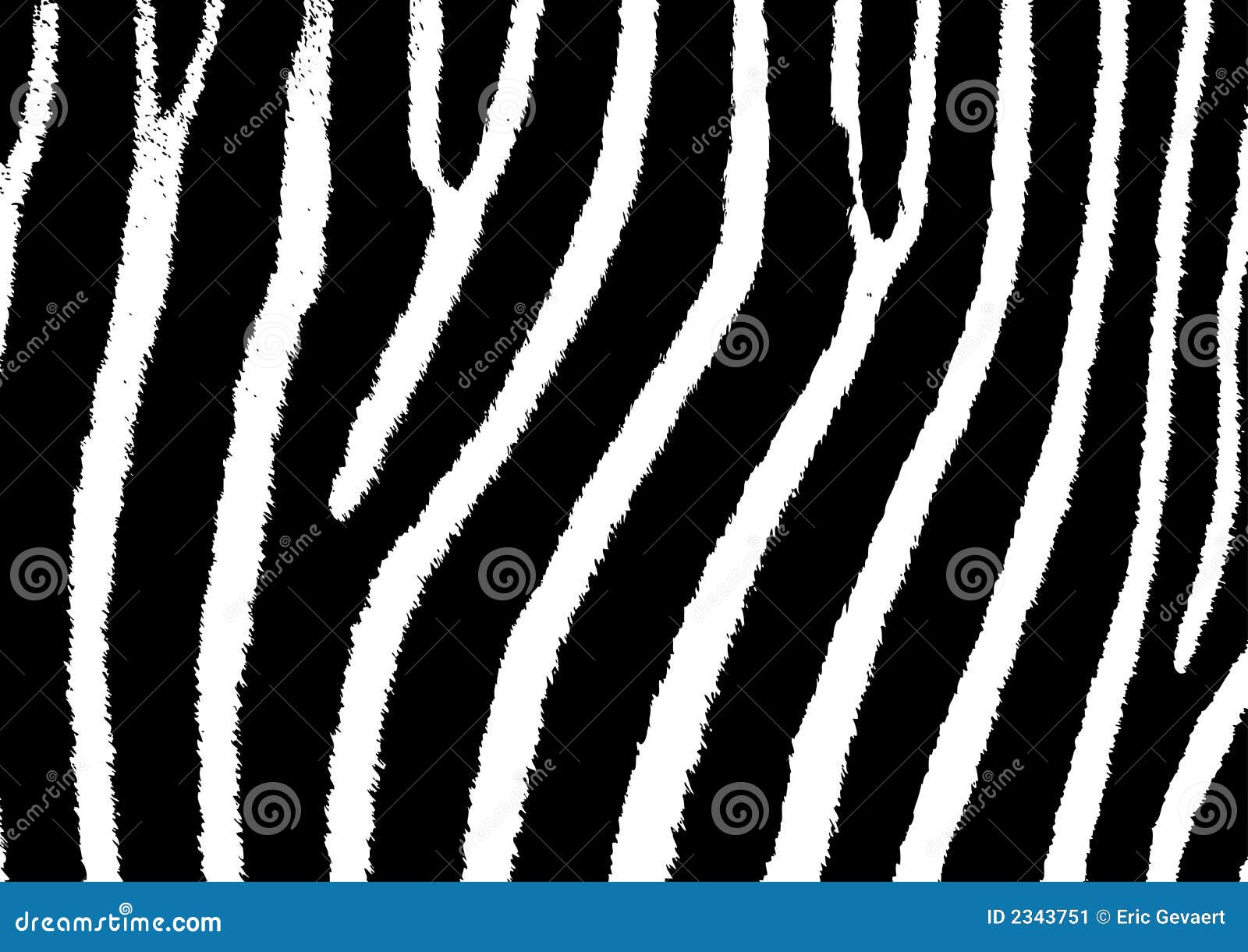 Textura de la cebra ilustración del vector. Ilustración de animal - 2343751