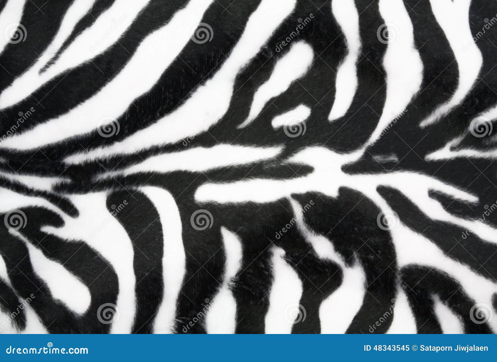 Textura de la cebra imagen de archivo. Imagen de manta - 48343545