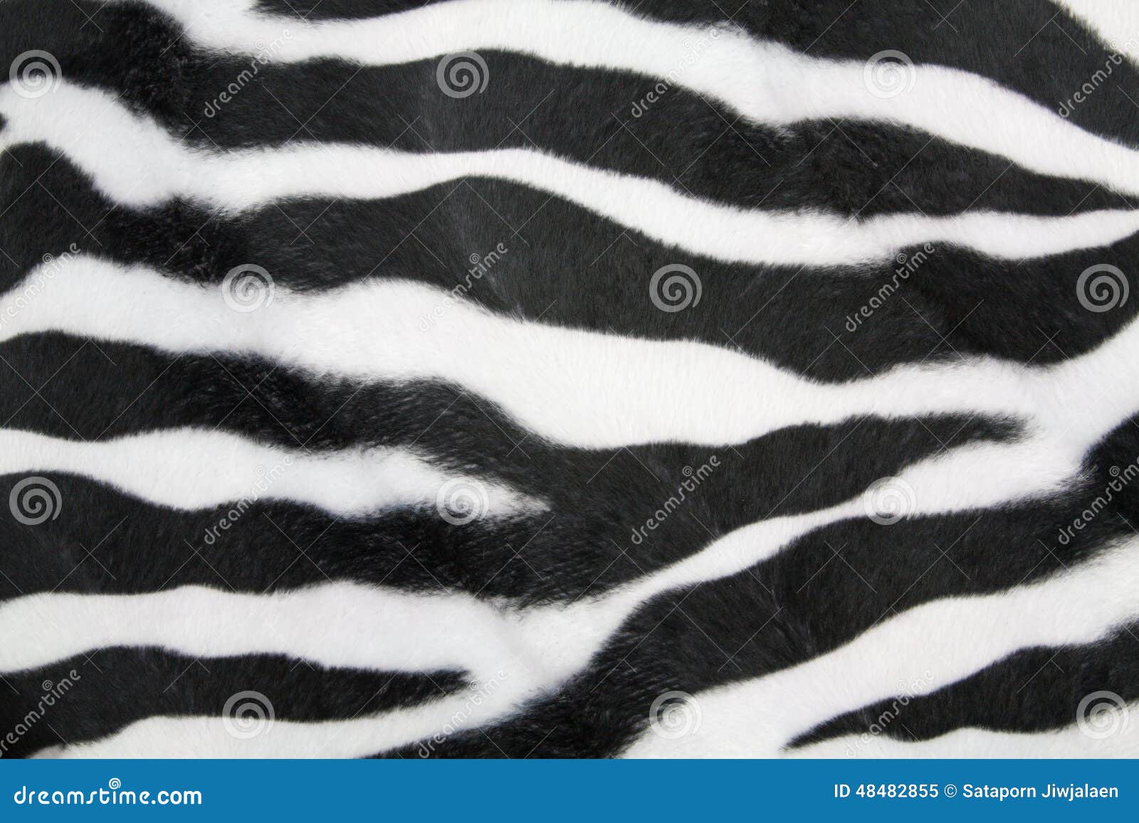 Textura de la cebra imagen de archivo. Imagen de texturizado - 48482855