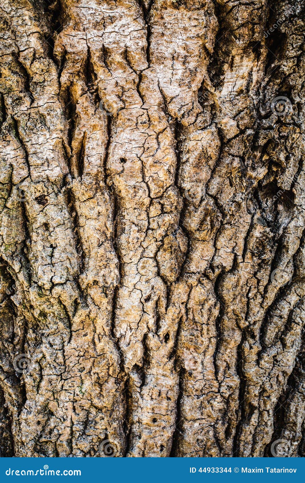 Textura de la corteza foto de archivo. Imagen de cubo - 44933344