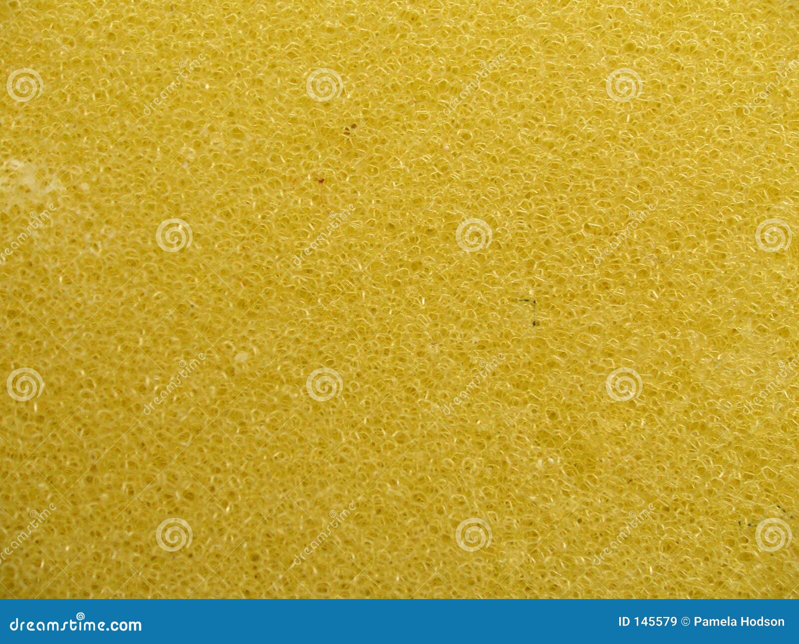Textura de la esponja imagen de archivo. Imagen de detallado - 145579