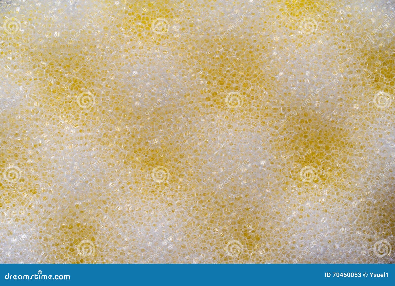 Textura de la esponja imagen de archivo. Imagen de belleza - 70460053