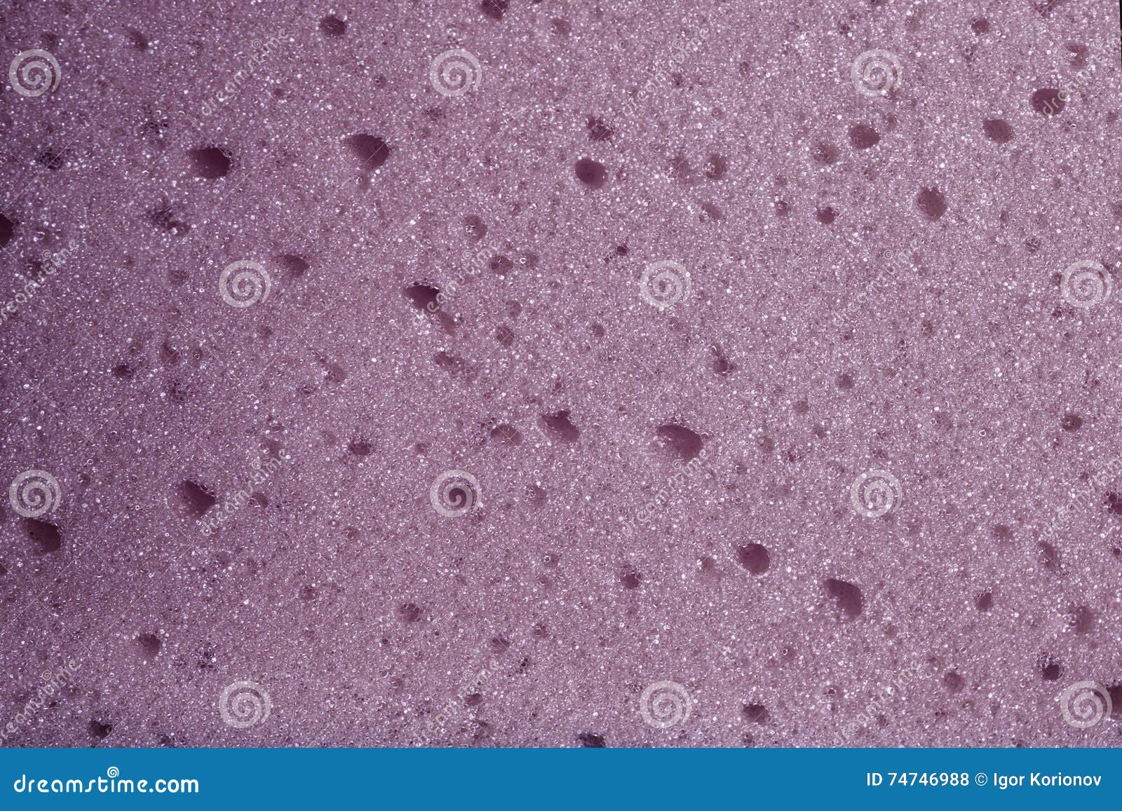 Textura de la esponja foto de archivo. Imagen de material - 74746988
