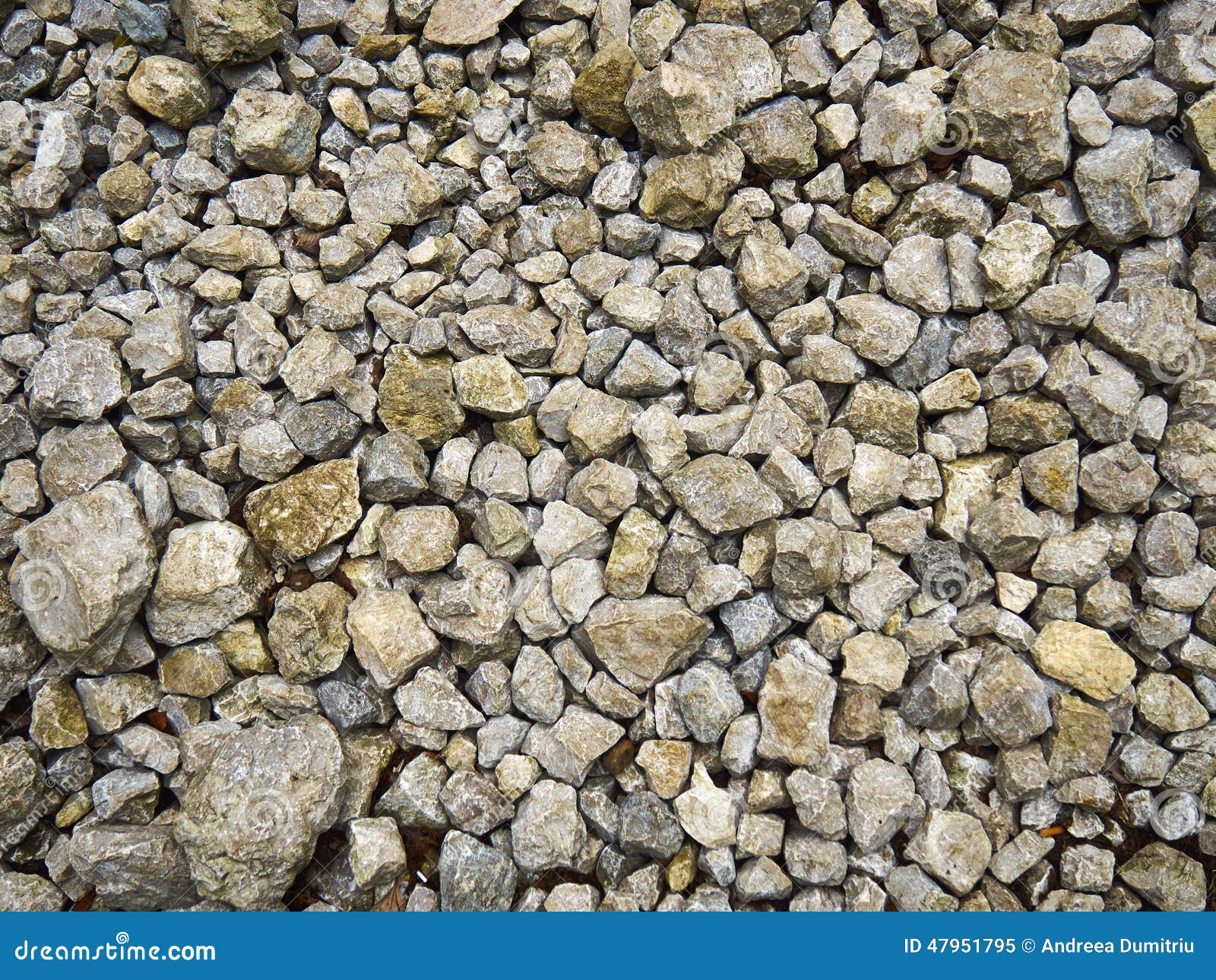 Textura de la grava imagen de archivo. Imagen de redondo - 47951795