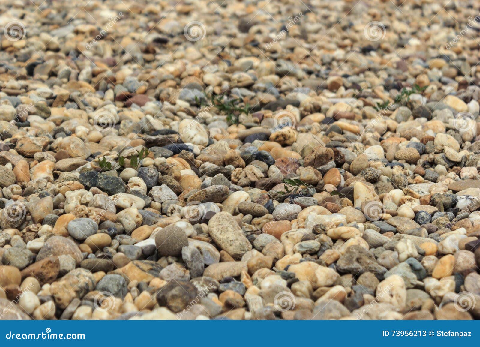 Textura de la grava imagen de archivo. Imagen de primer - 73956213