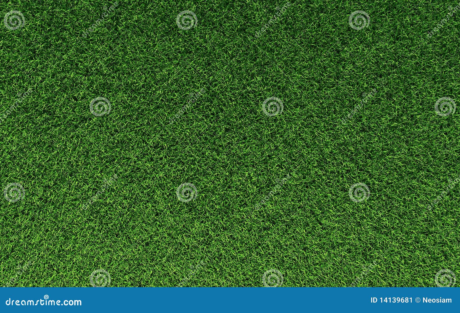 Textura de la hierba imagen de archivo. Imagen de texturizado - 14139681