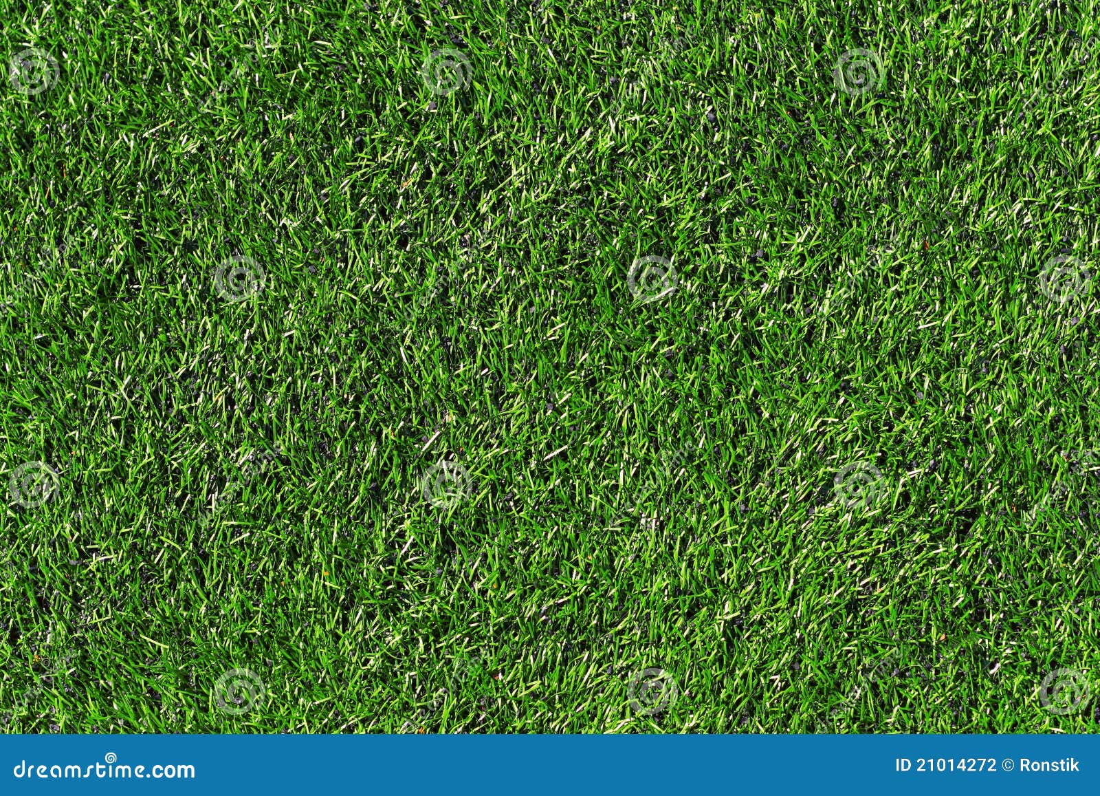 Textura de la hierba foto de archivo. Imagen de hierba - 21014272