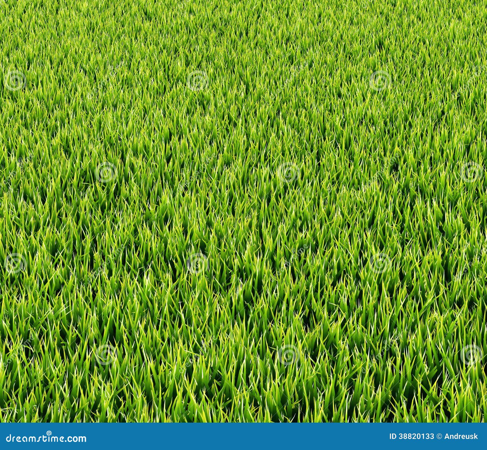 Textura de la hierba imagen de archivo. Imagen de textura - 38820133