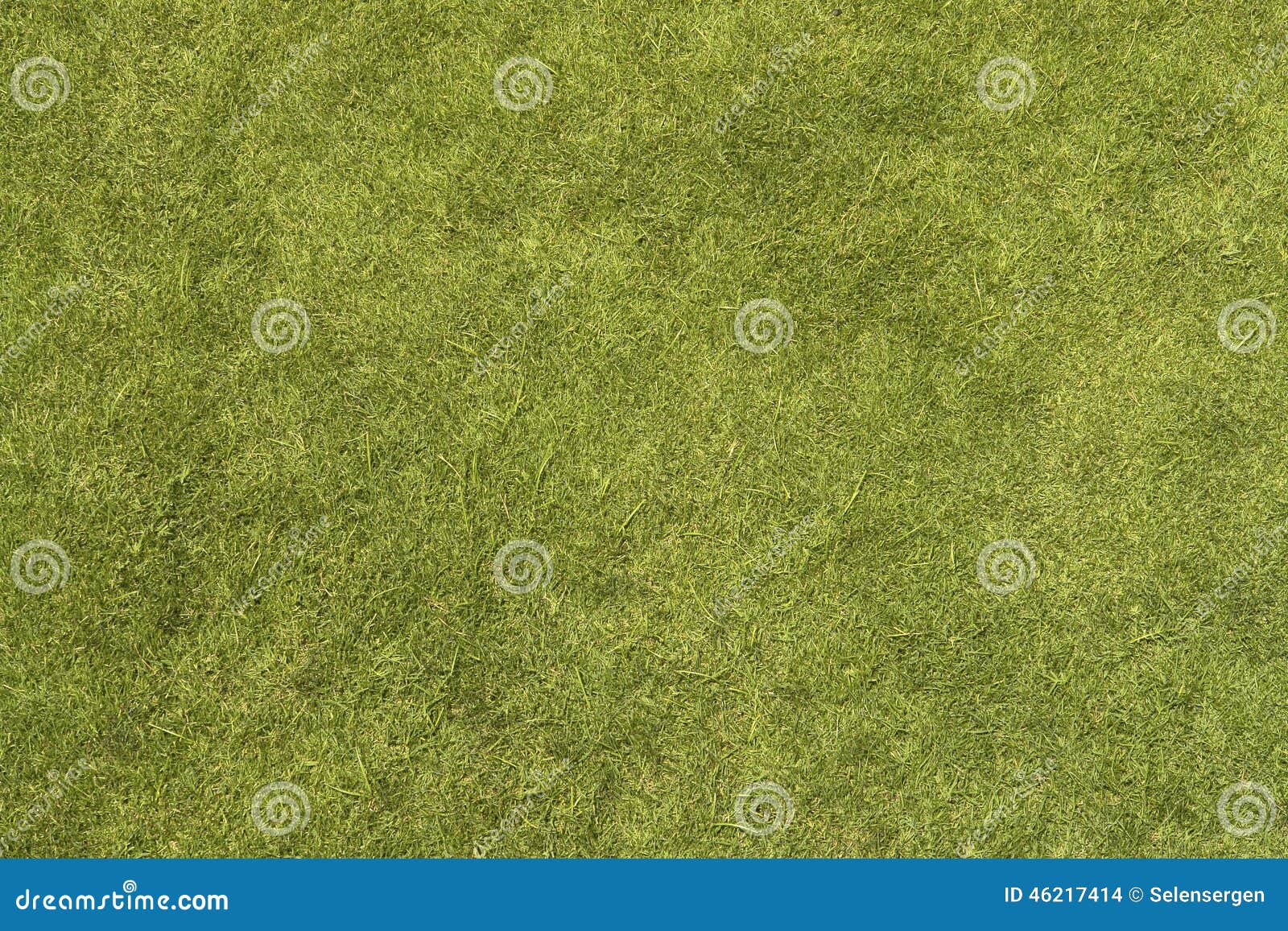 Textura de la hierba foto de archivo. Imagen de cubo - 46217414