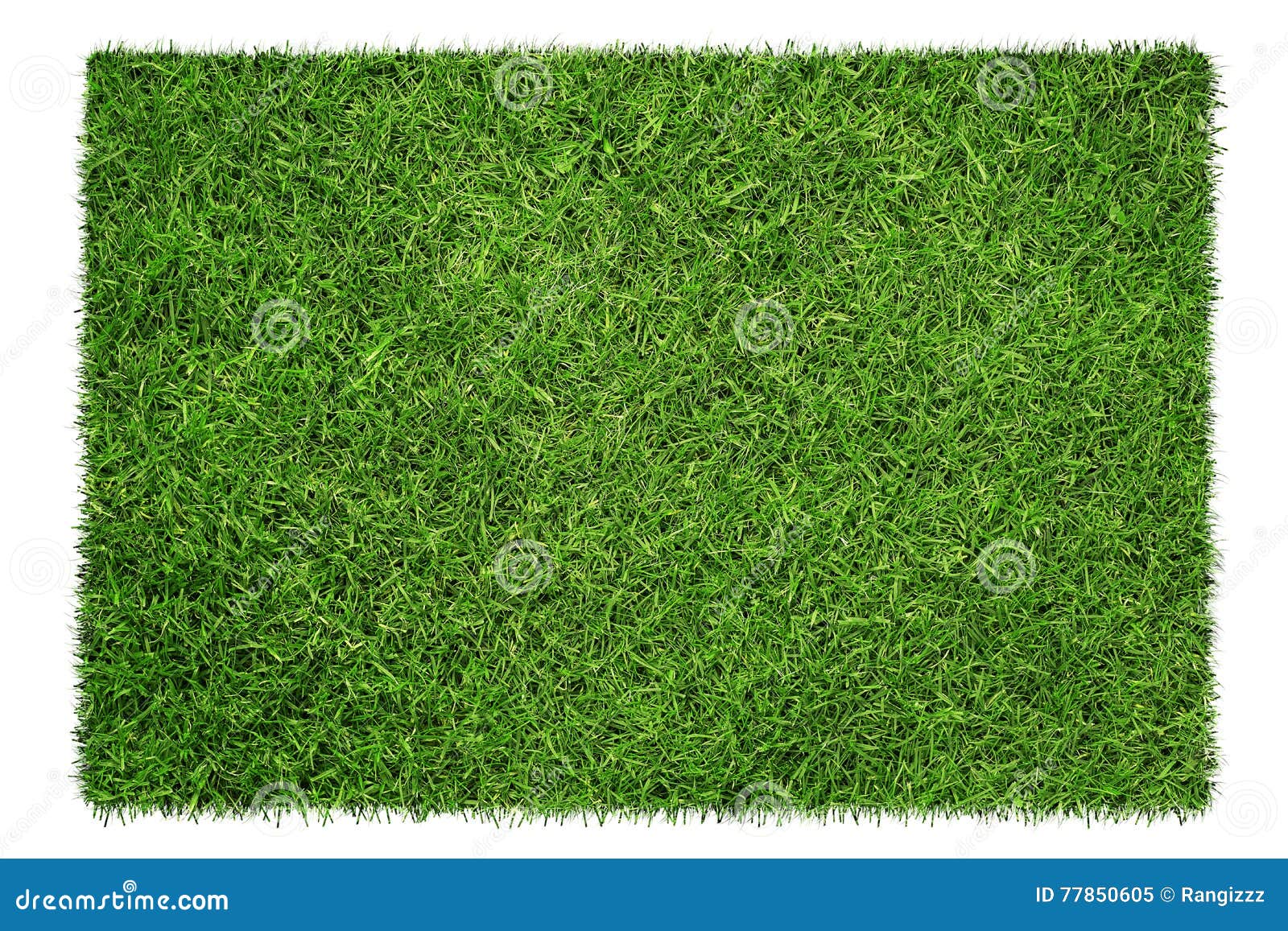 Textura de la hierba imagen de archivo. Imagen de crecimiento - 77850605