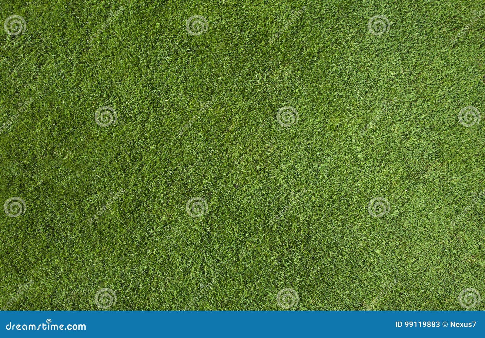 Textura de la hierba verde imagen de archivo. Imagen de yarda - 99119883