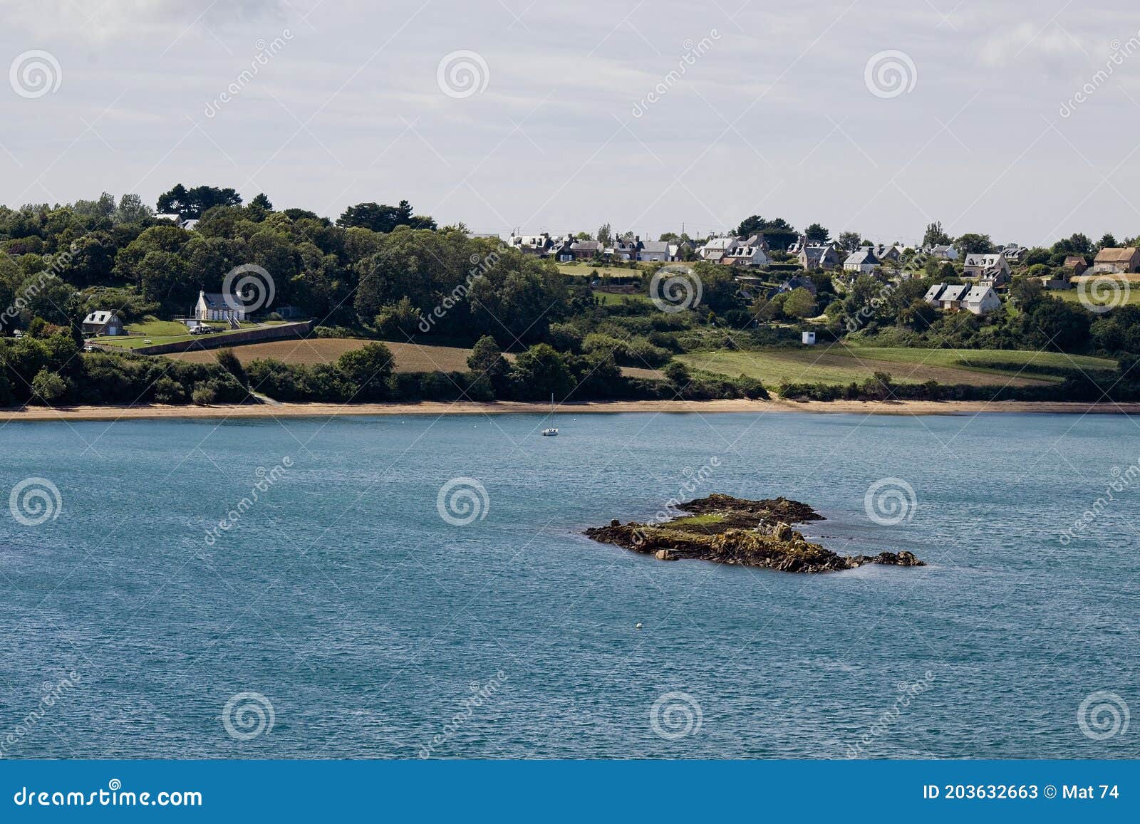 Textura De La Madera En Primavera Imagen de archivo - Imagen de ...