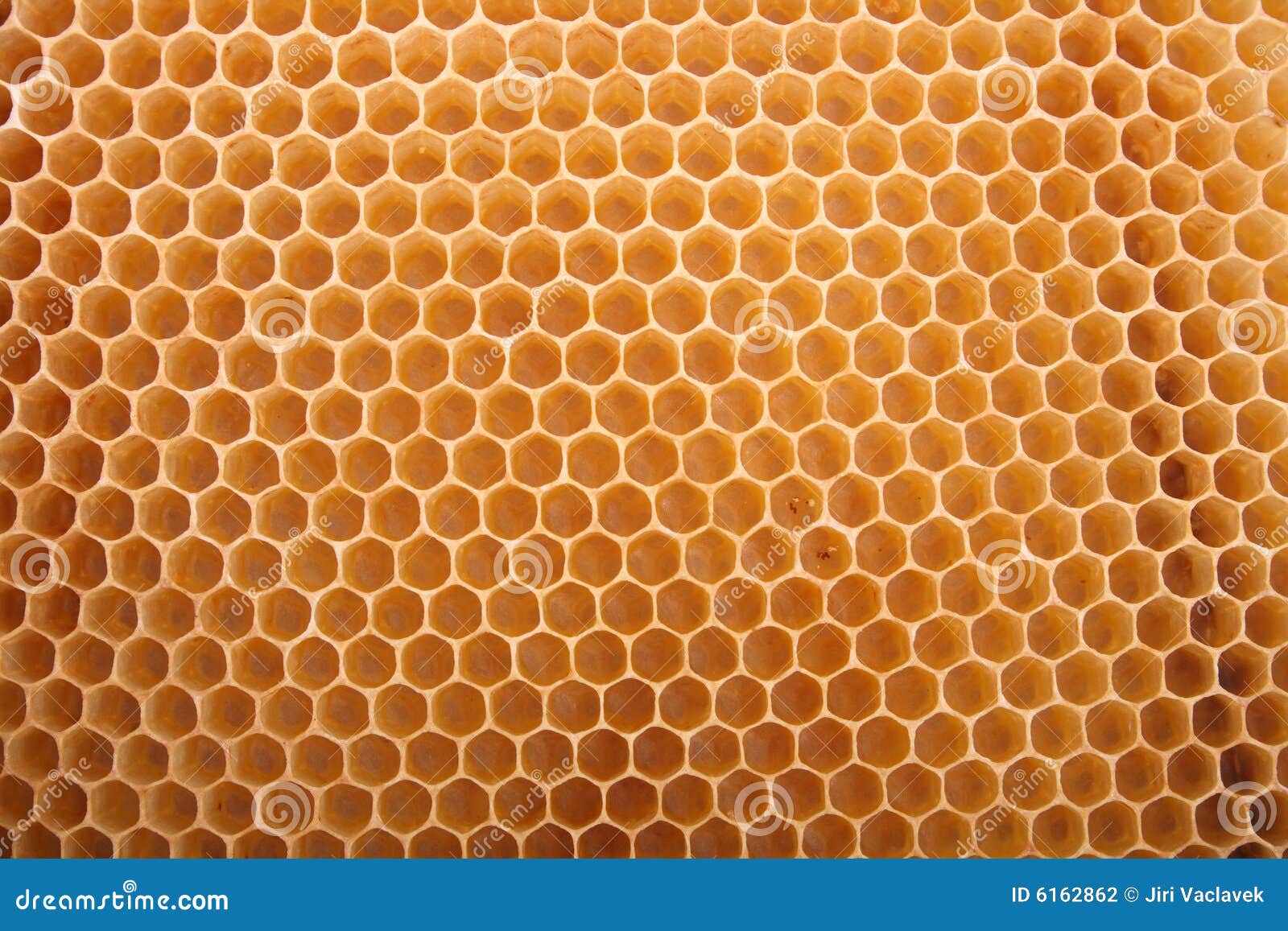 Textura de la miel foto de archivo. Imagen de beeswax - 6162862