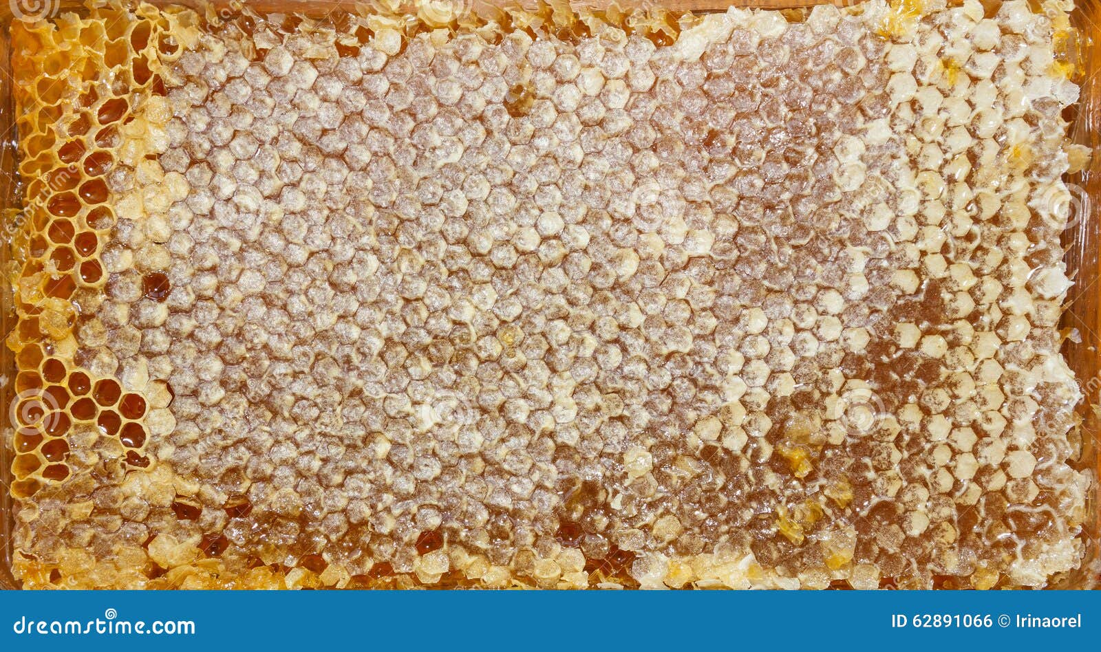 Textura de la miel foto de archivo. Imagen de delicioso - 62891066