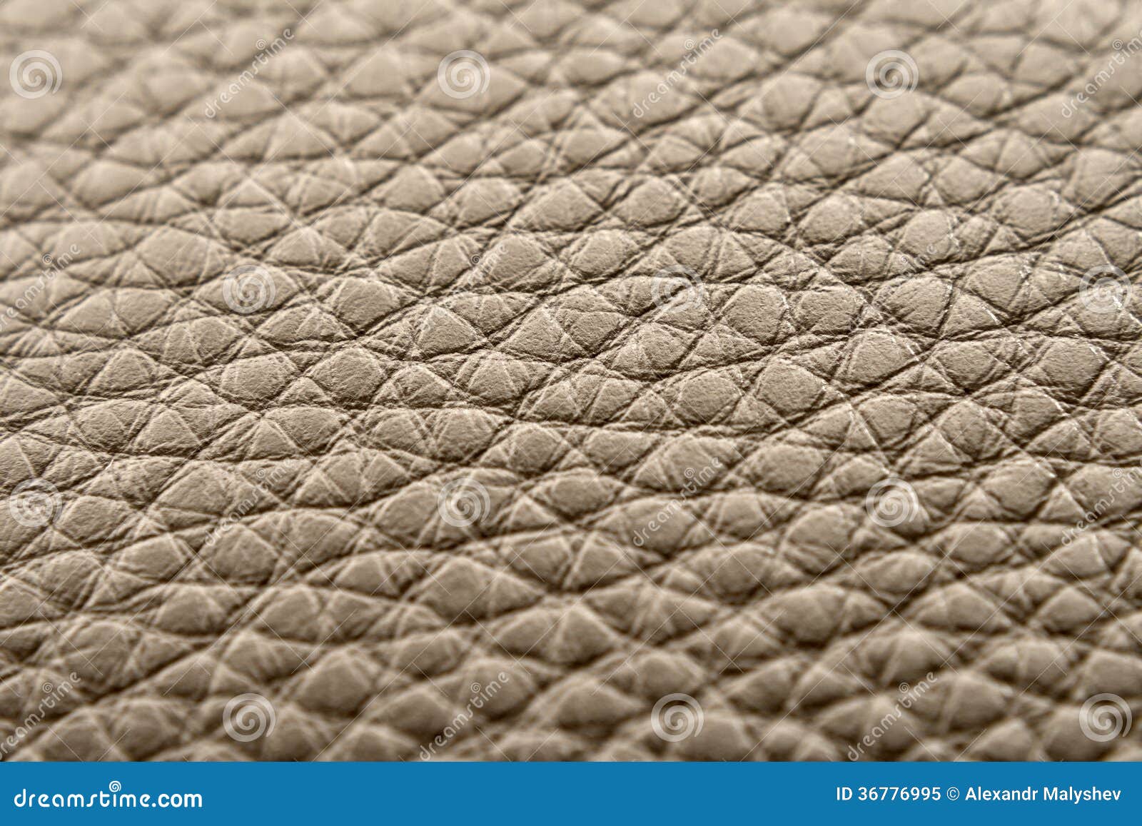 Textura De La Piel. Foto de archivo libre de regalías - Imagen: 36776995