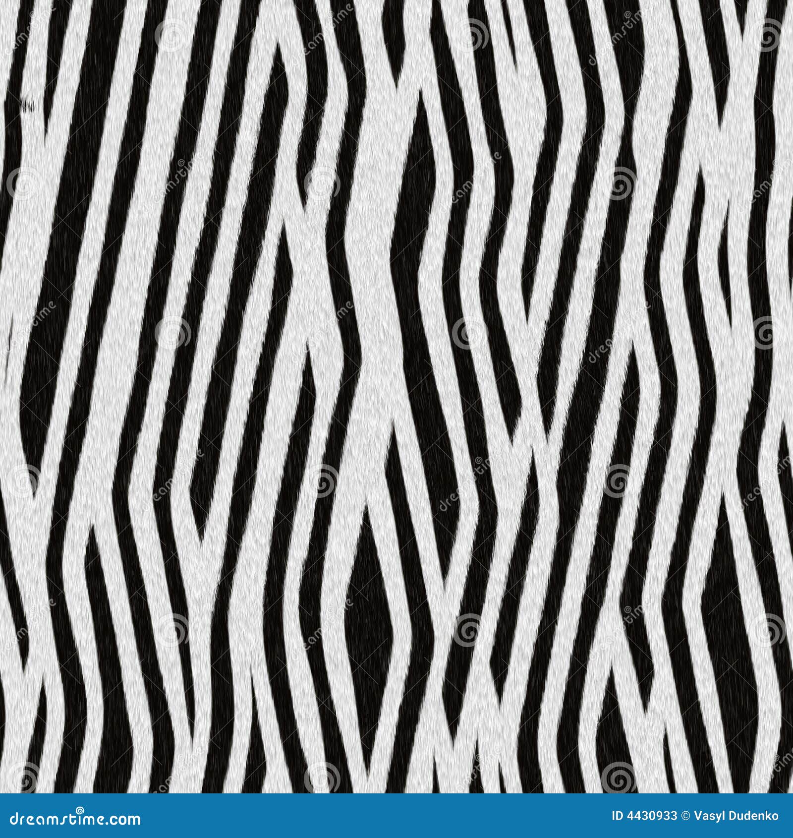 Textura De La Piel De La Cebra Imagen de archivo - Imagen de piel ...