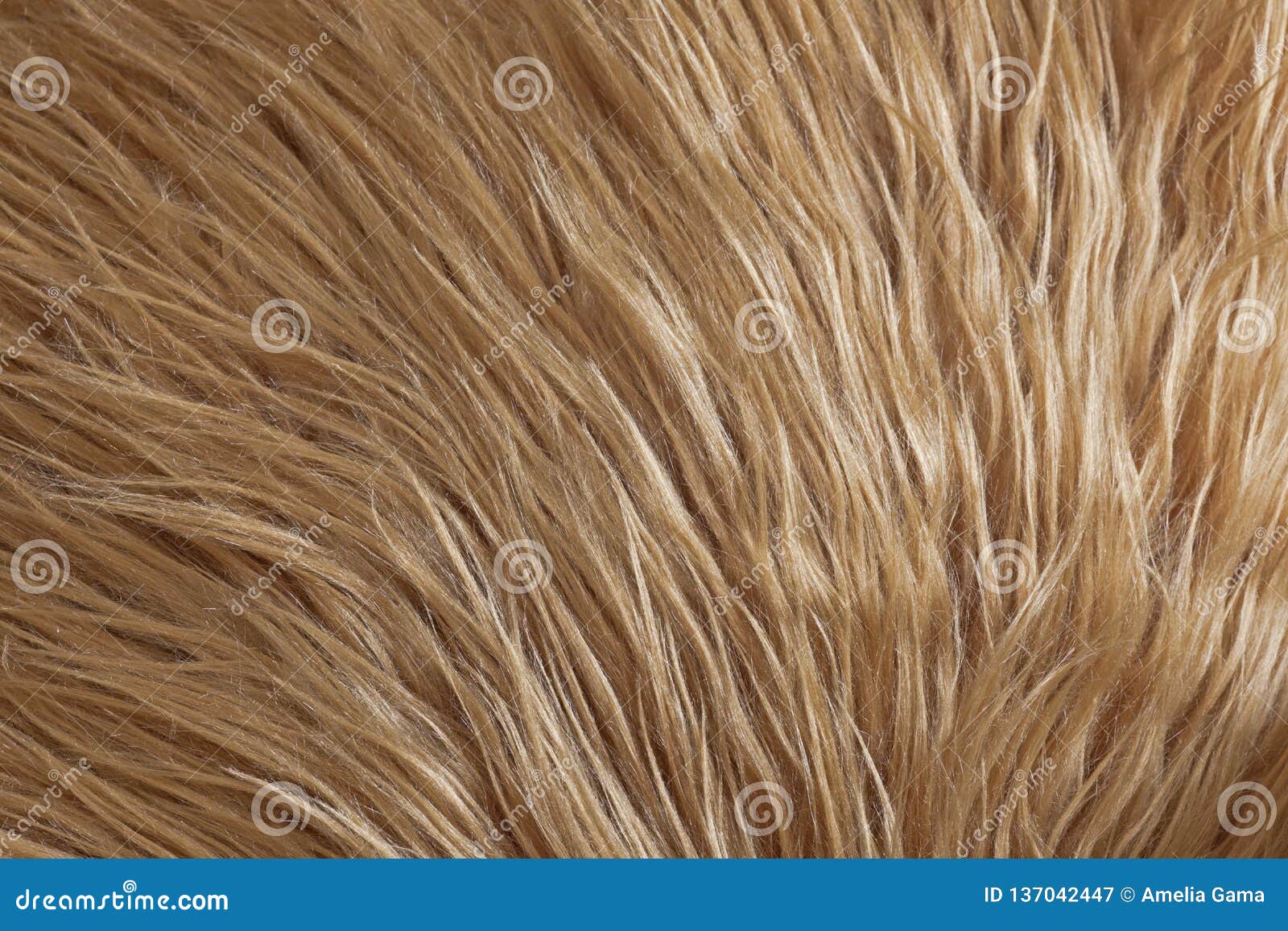 Textura De La Piel En Beige Imagen de archivo - Imagen de capa, manera ...