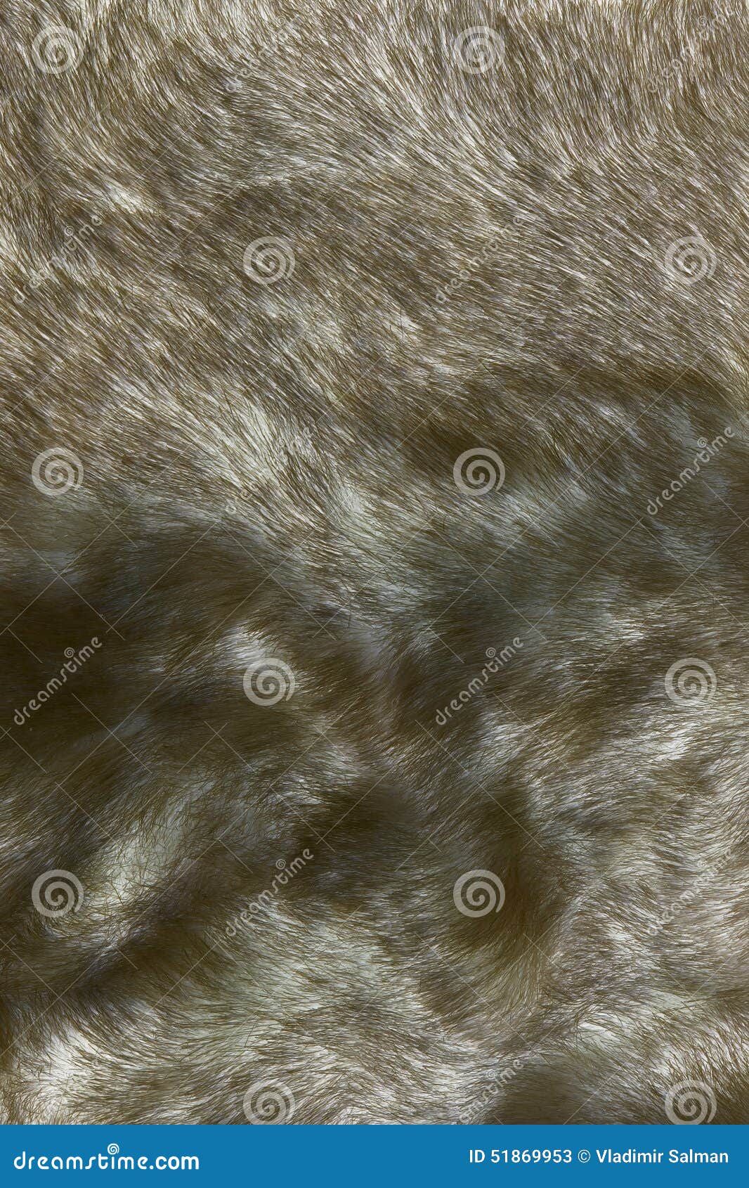 Textura de la piel gris imagen de archivo. Imagen de mullido - 51869953