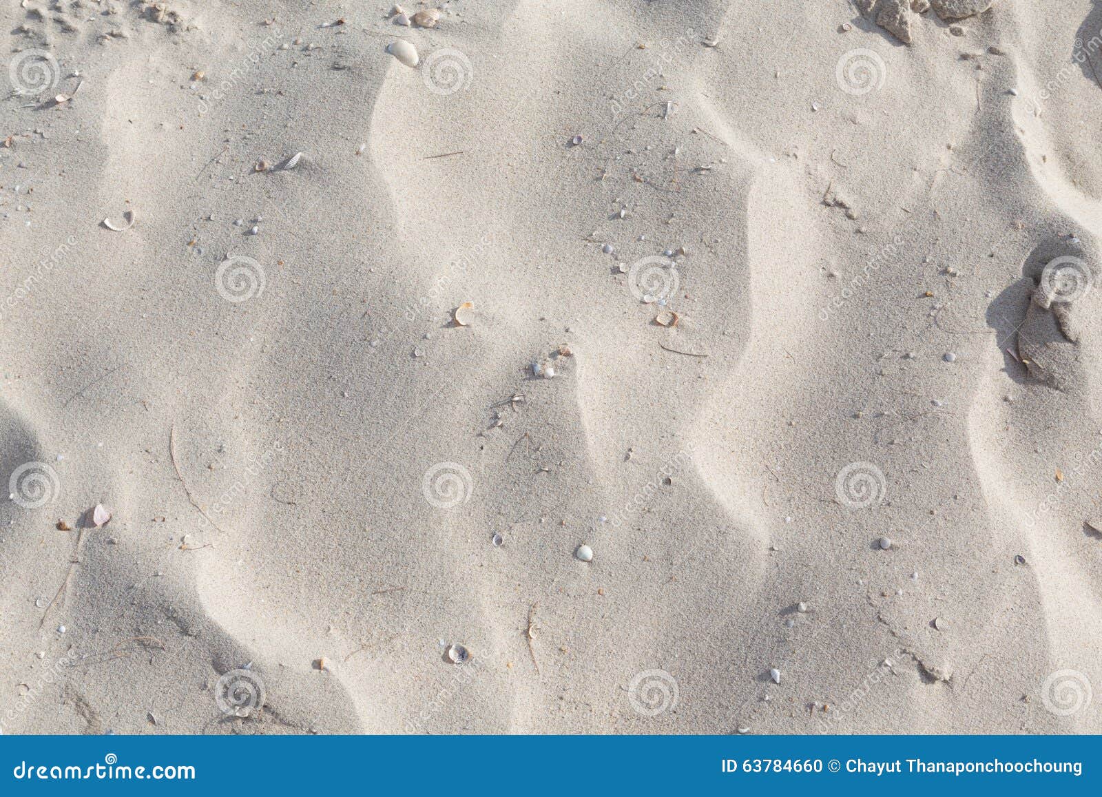 Textura de la playa foto de archivo. Imagen de concha - 63784660