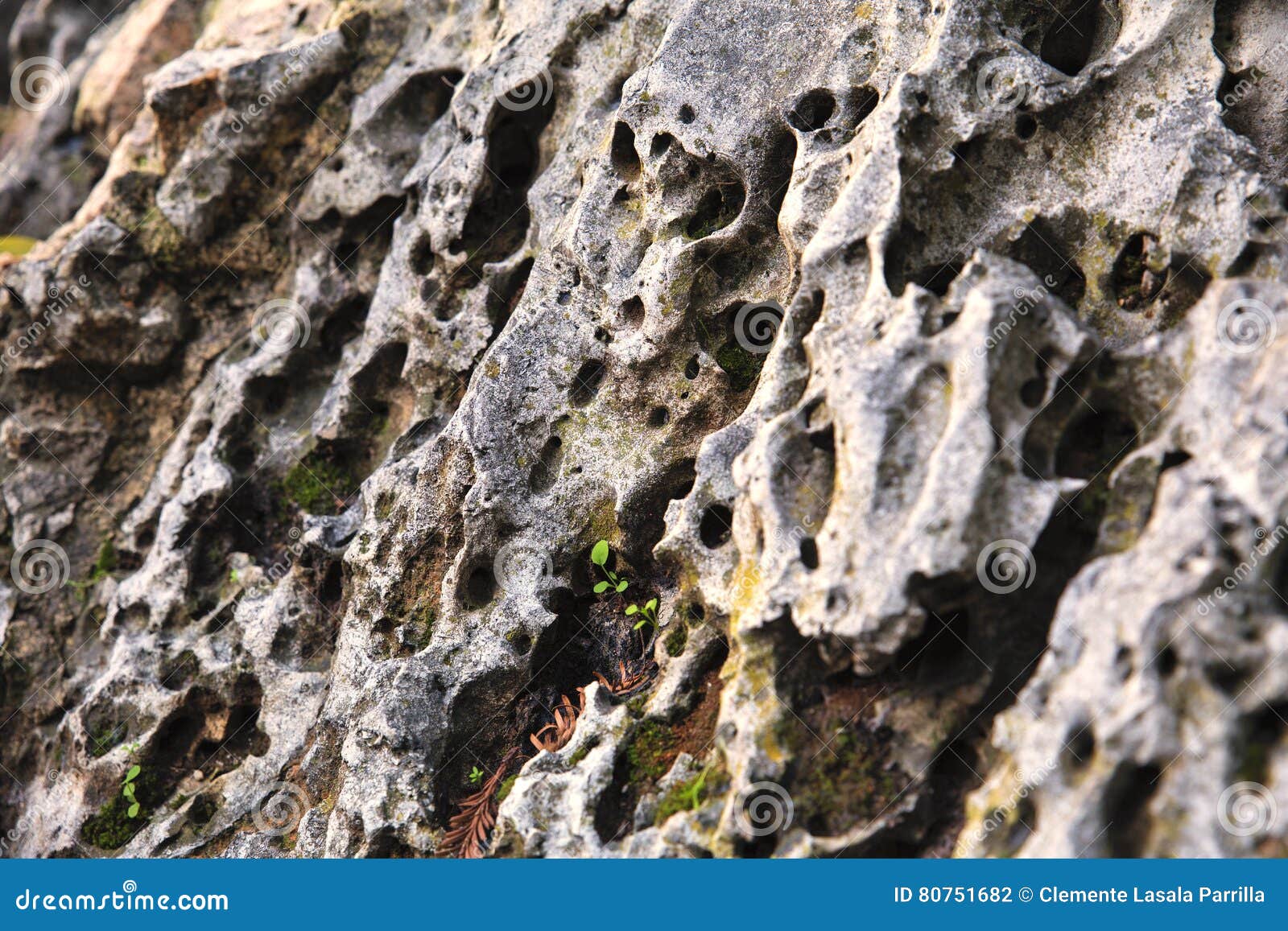 Textura De La Roca Erosionada Con Los Agujeros Foto de archivo - Imagen ...