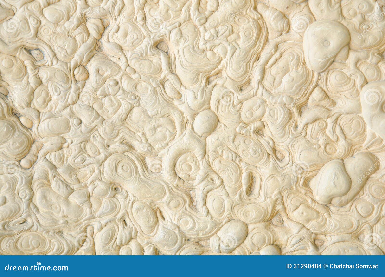 Textura De La Roca Sedimentaria Foto de archivo - Imagen de roca ...