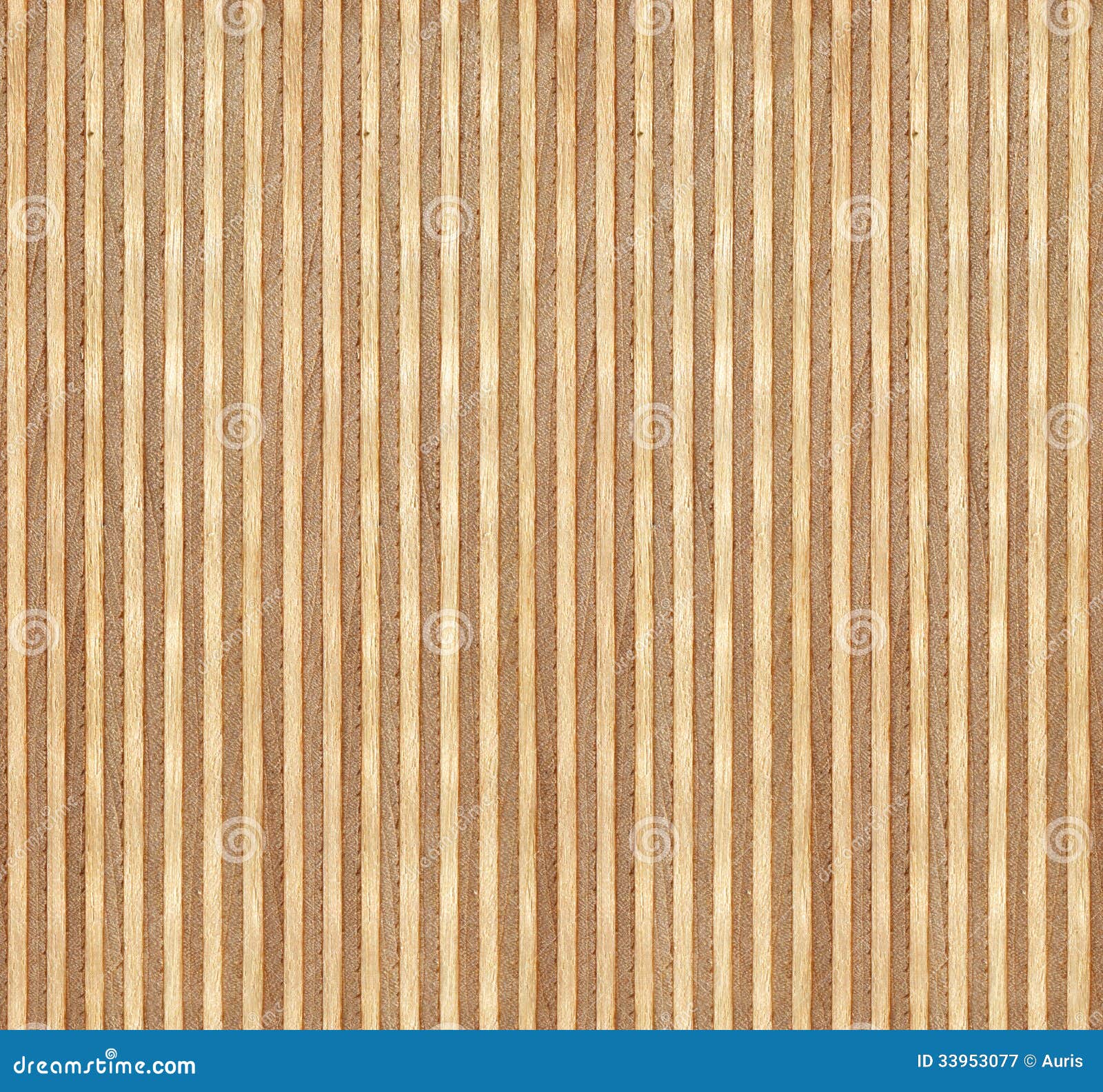 Textura De La Sección De Madera De Abedul Imagen de archivo - Imagen de ...