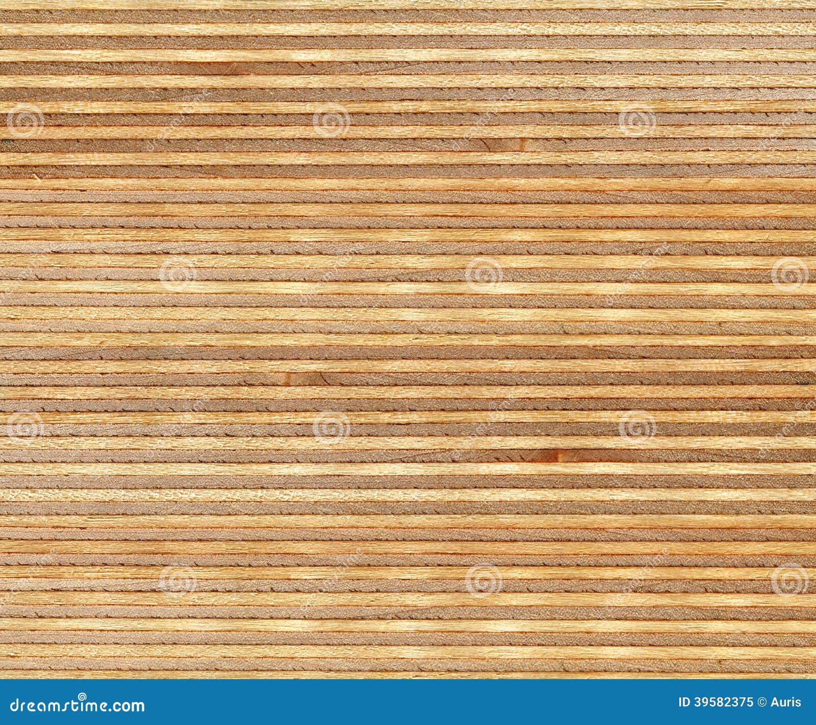 Textura De La Sección De Madera De Abedul Imagen de archivo - Imagen de ...