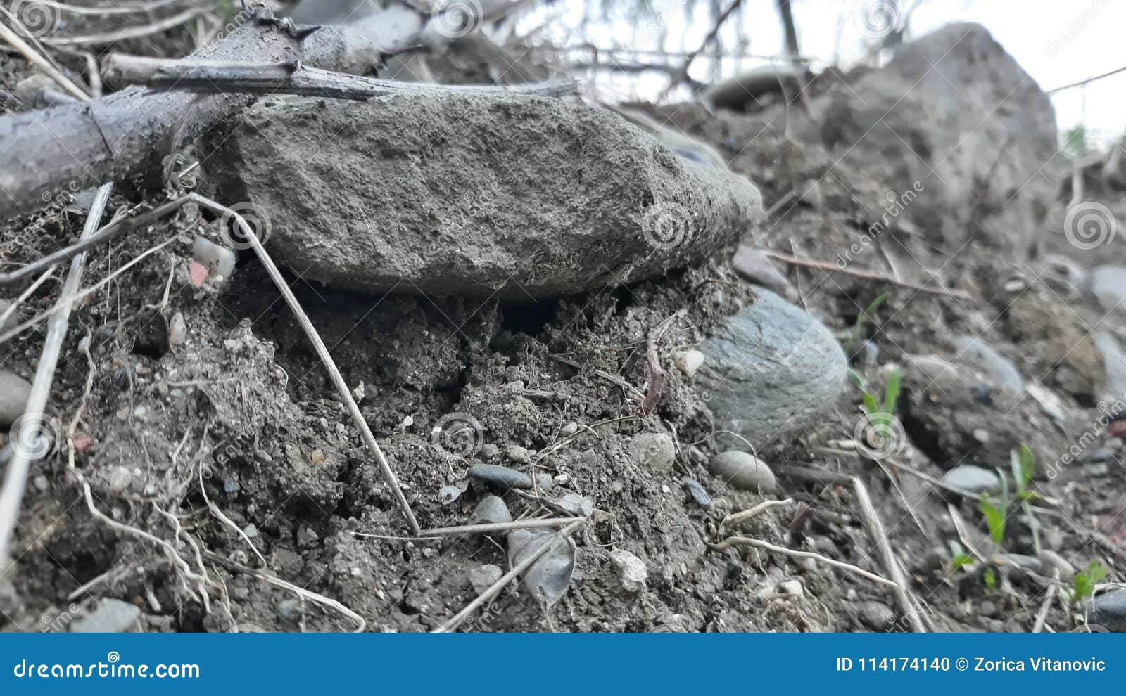 Textura de la suciedad foto de archivo. Imagen de suciedad - 114174140