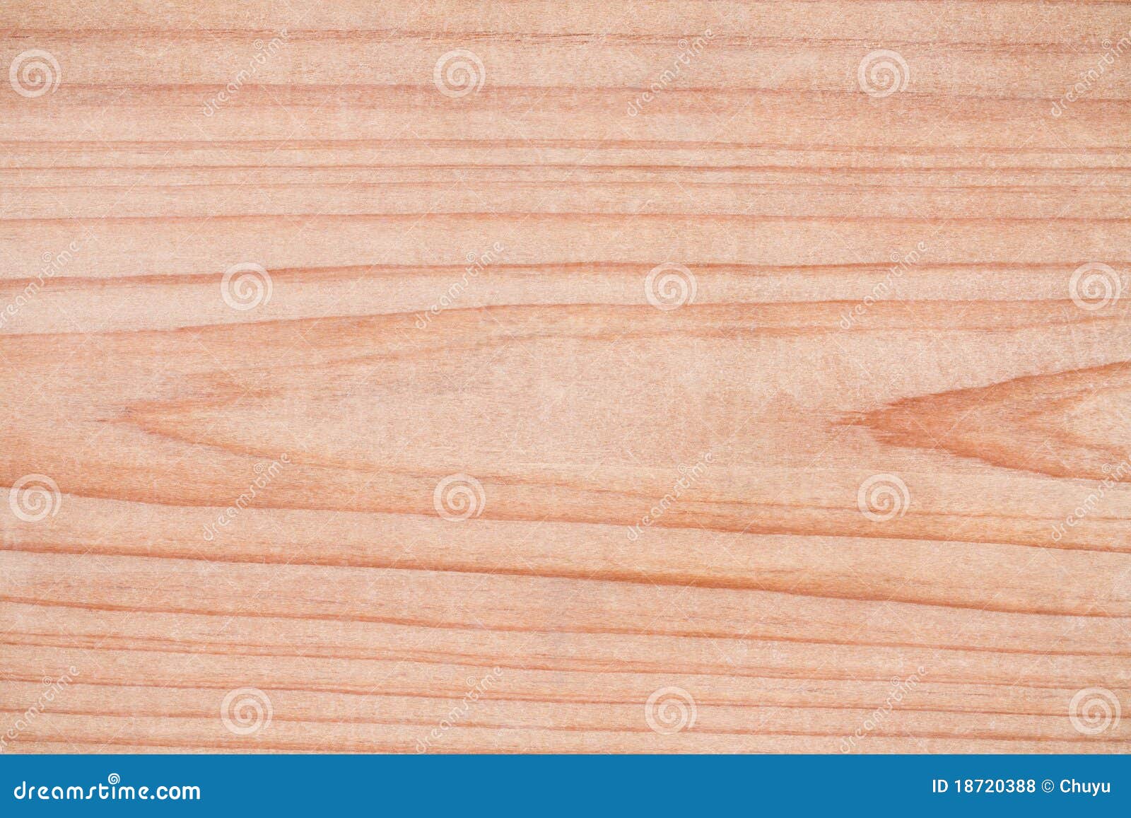 Textura De La Tarjeta Del Cedro Foto de archivo - Imagen de madera ...