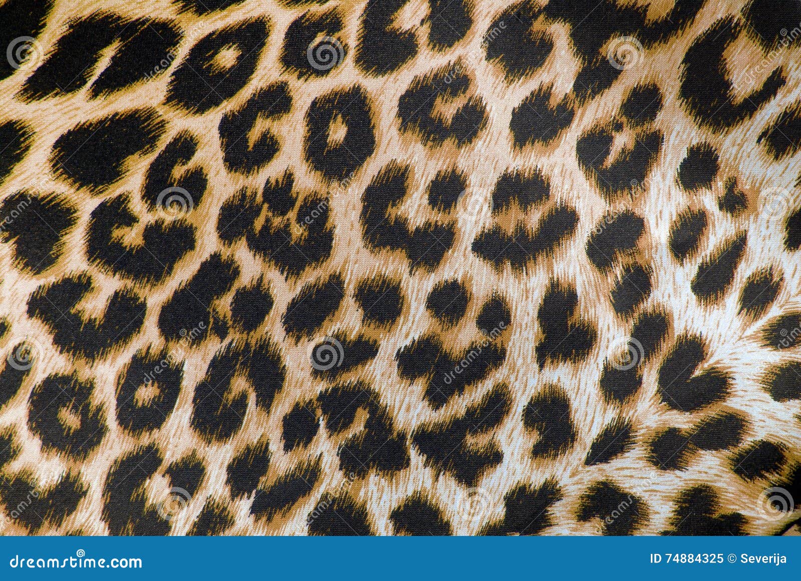 Textura De La Tela Del Estampado Leopardo Imagen De Archivo Imagen De