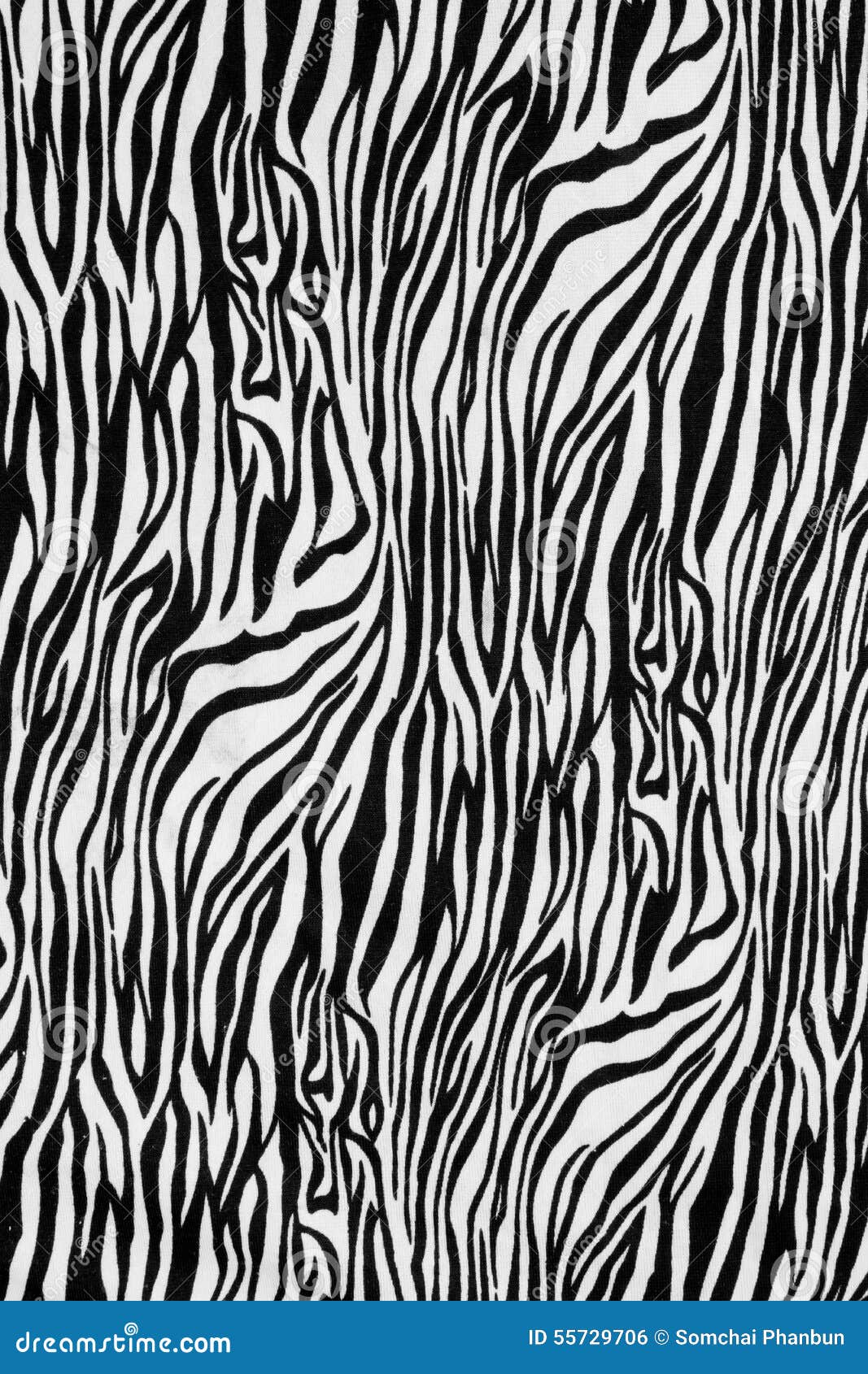 Textura De La Tela Del Estilo De La Cebra Foto de archivo - Imagen de ...