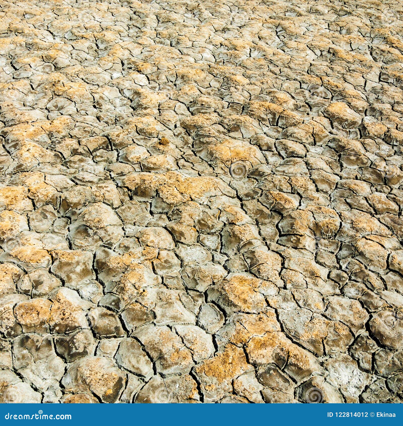 Textura de la tierra seca foto de archivo. Imagen de arena - 122814012