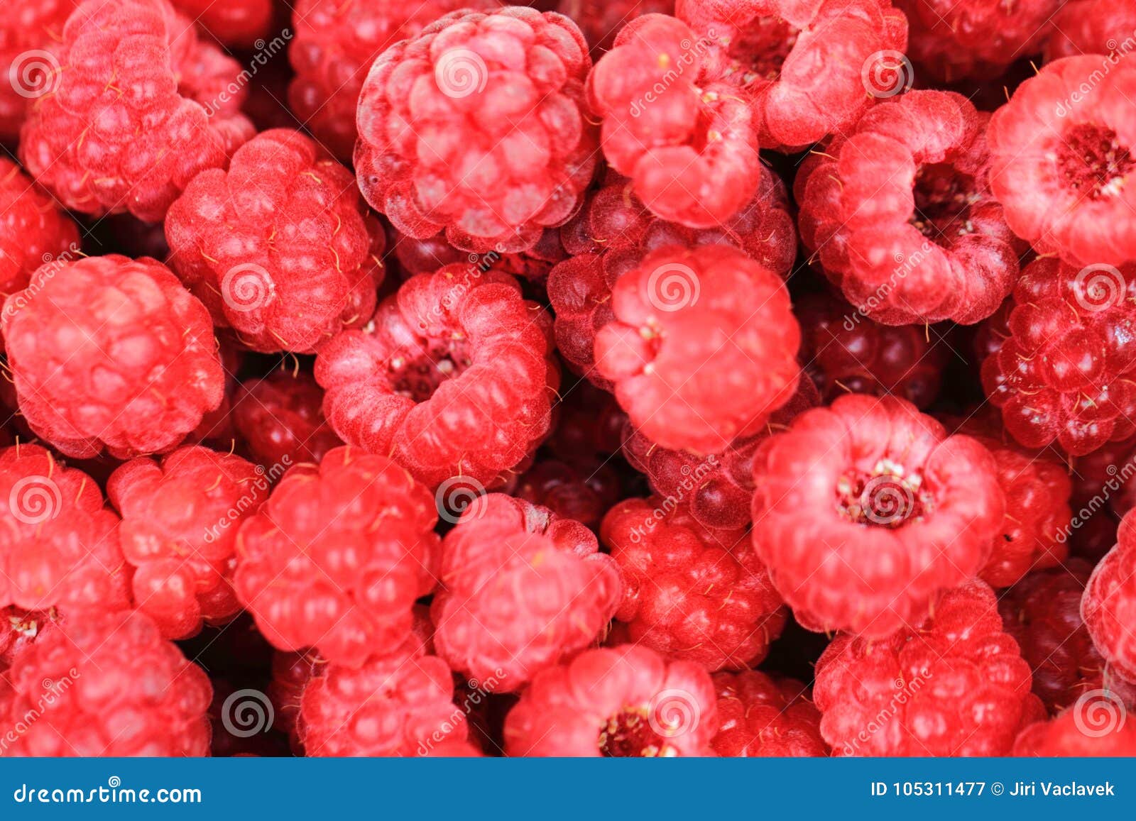 Textura De Las Frambuesas Rojas Imagen de archivo - Imagen de primer ...
