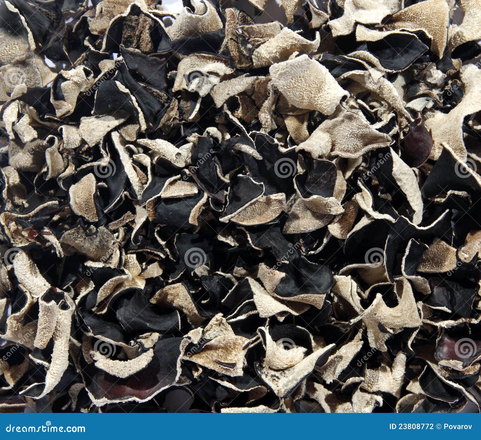Textura De Las Setas Chinas Negras Secas Foto de archivo - Imagen de ...