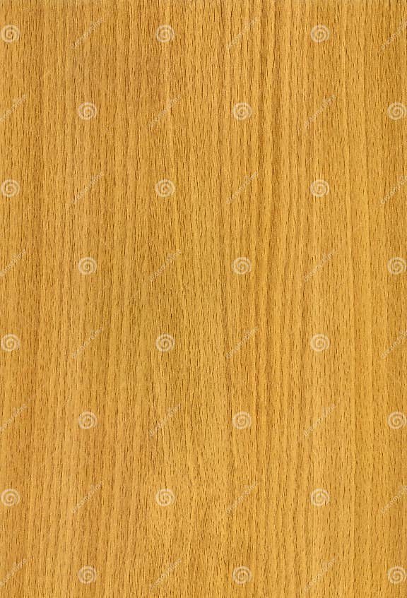 Textura de madeira da faia foto de stock. Imagem de arquitetura - 3497756