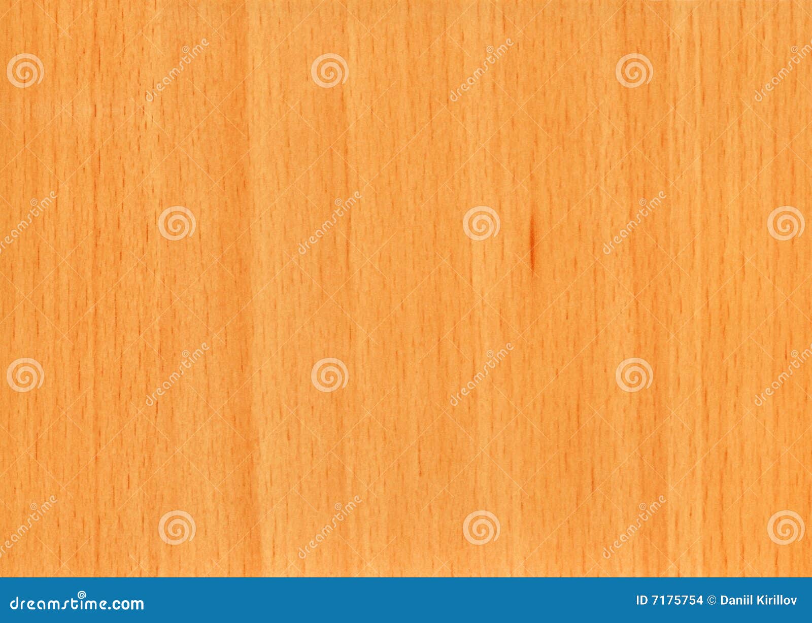Textura De Madeira Da Faia Ao Fundo Foto de Stock - Imagem de ...