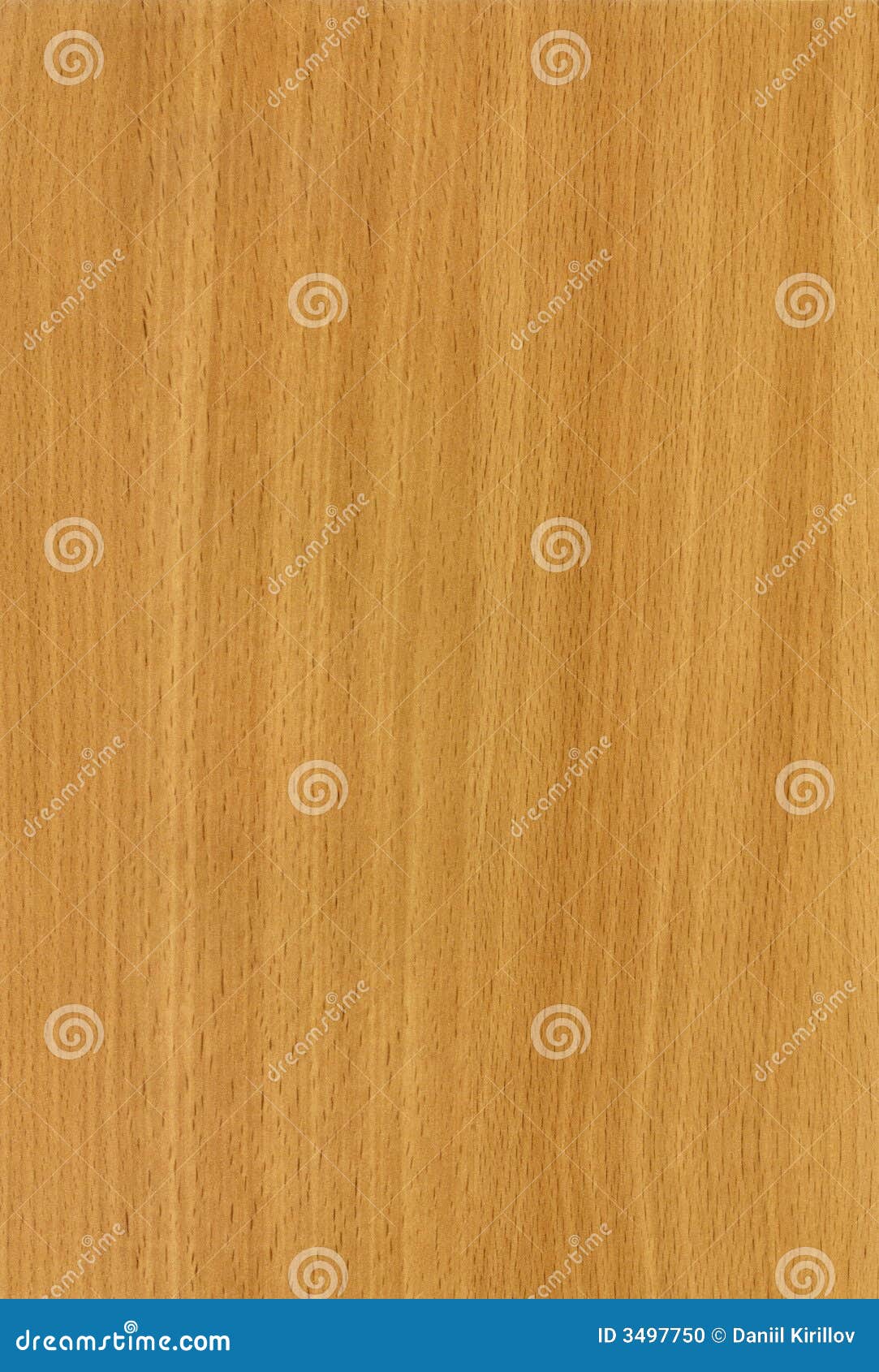 Textura De Madeira De Baviera Da Faia Imagem. Imagem: 3497750