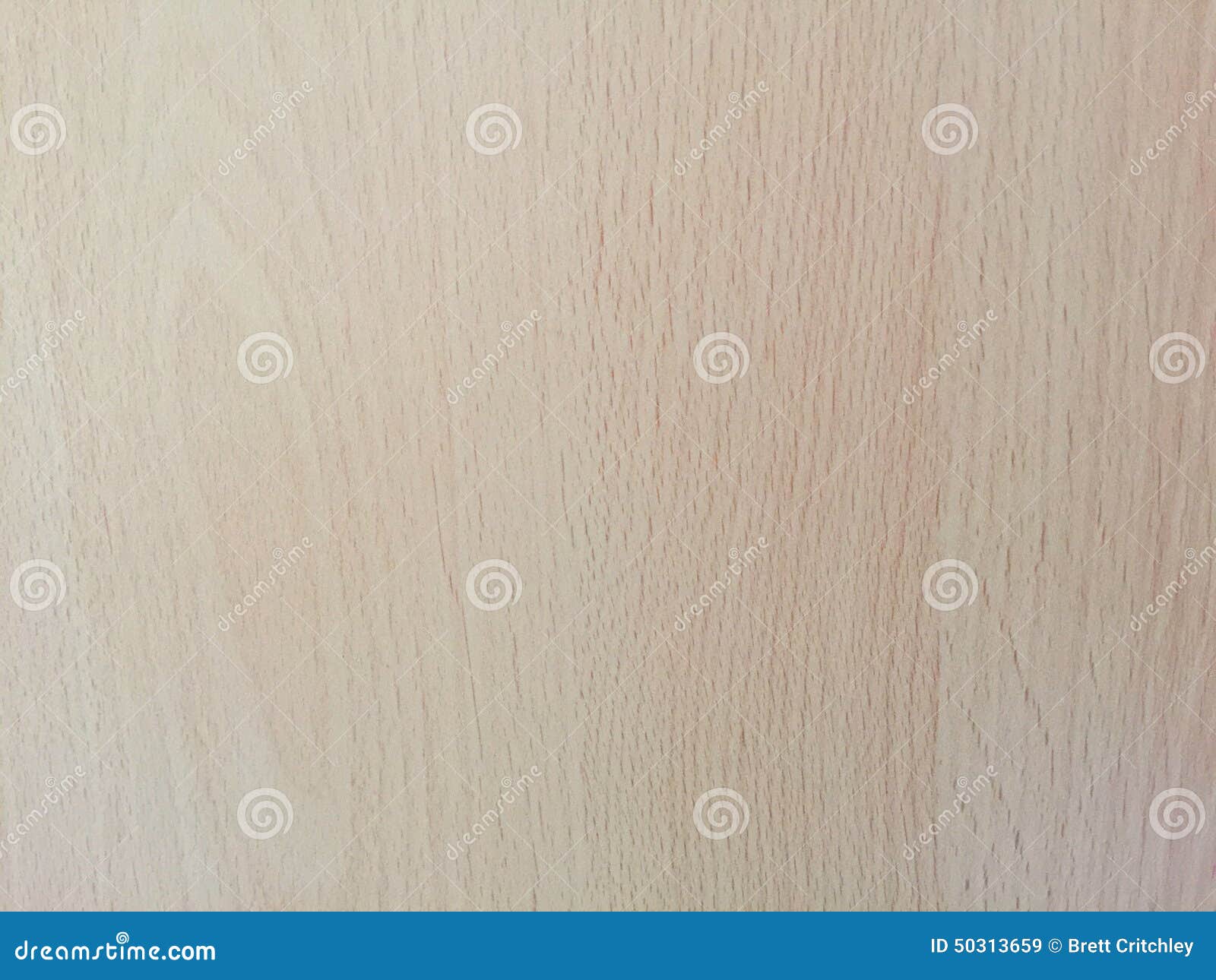 Textura De Madeira De Baviera Da Faia Do Close-up Imagem de Stock ...