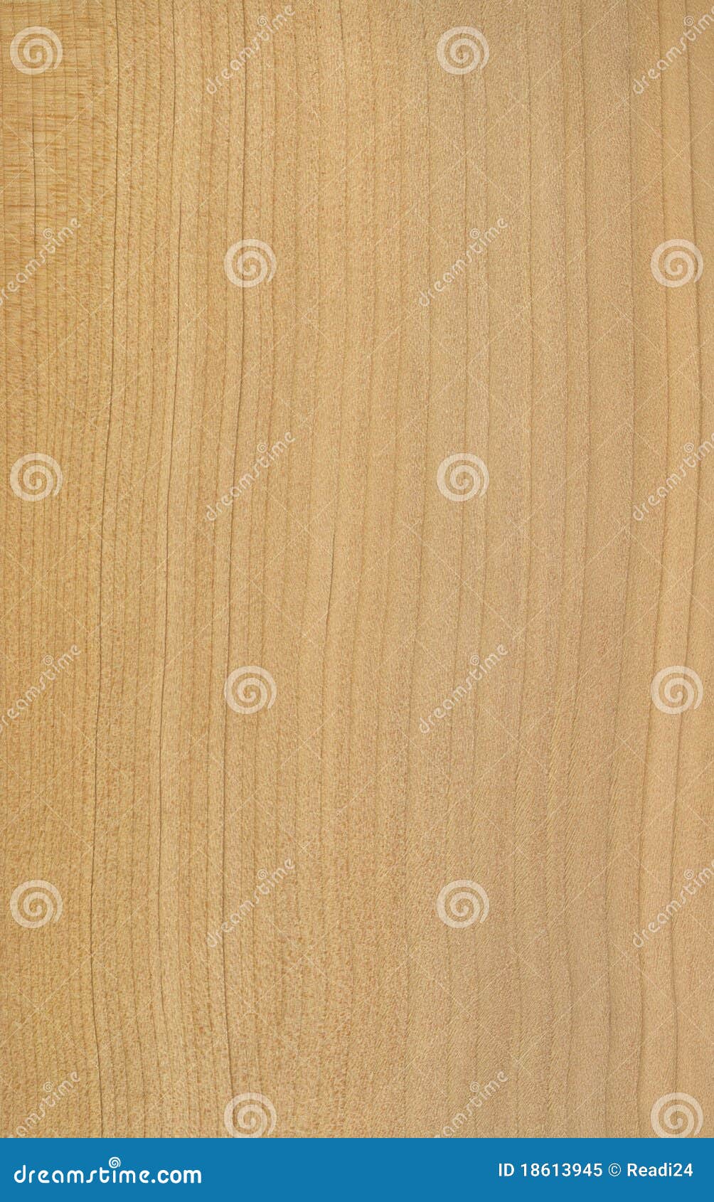 Textura De Madeira Do Folheado Do Cedro Imagem de Stock - Imagem de ...