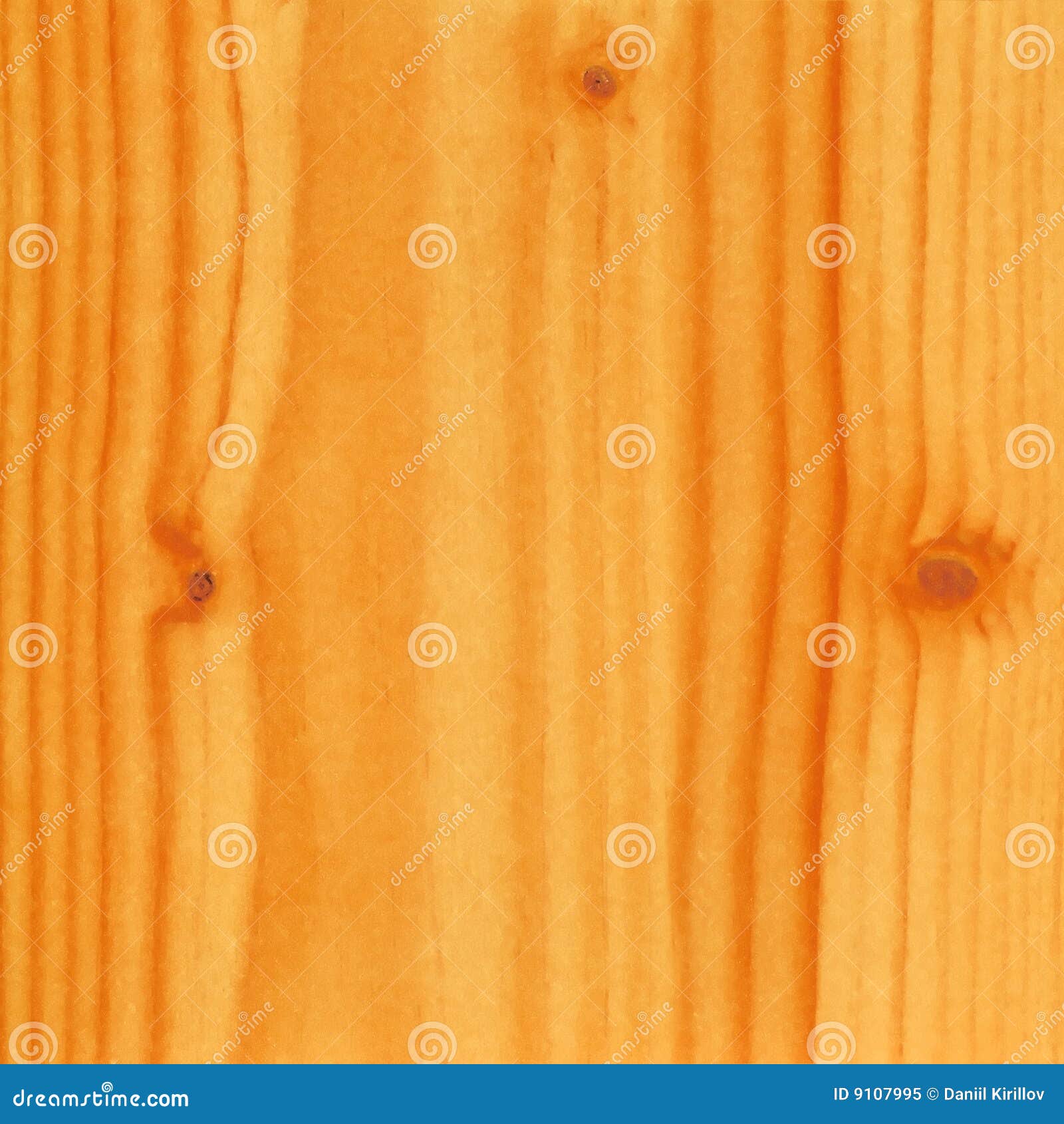 Textura De Madeira Do Pinho Do Close-up Imagem de Stock - Imagem de ...