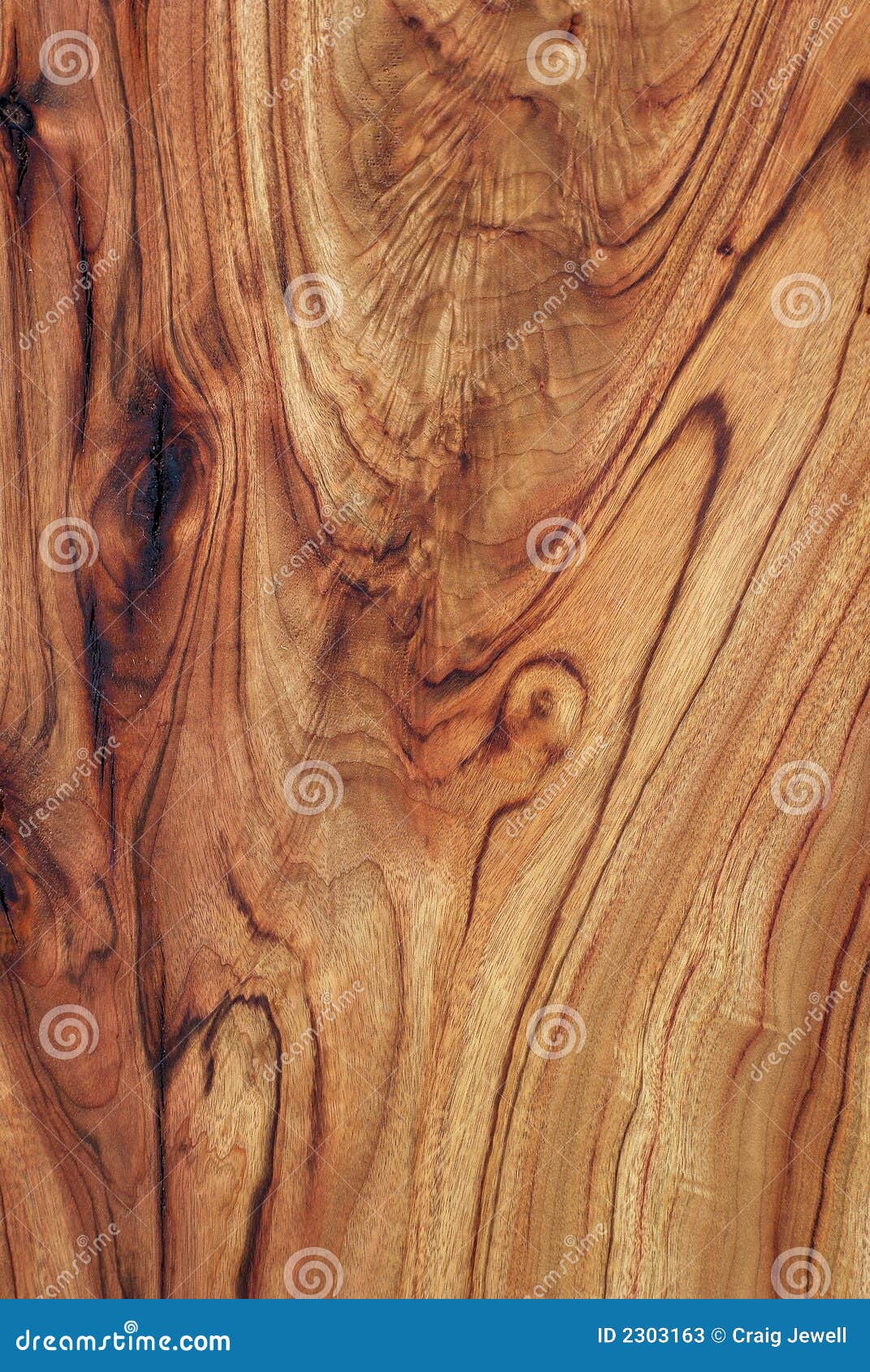 Textura De Madeira: Louro Da Cânfora Imagem de Stock - Imagem de ...