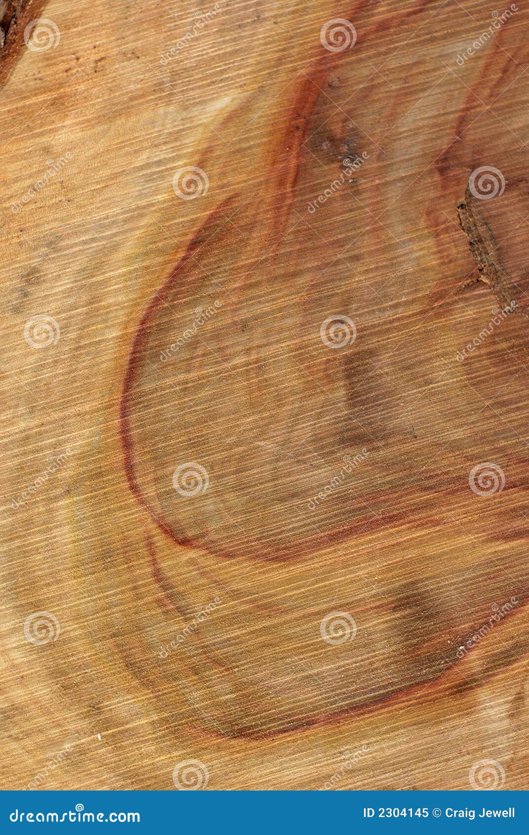 Textura De Madeira: Louro Da Cânfora Imagem de Stock - Imagem de ...