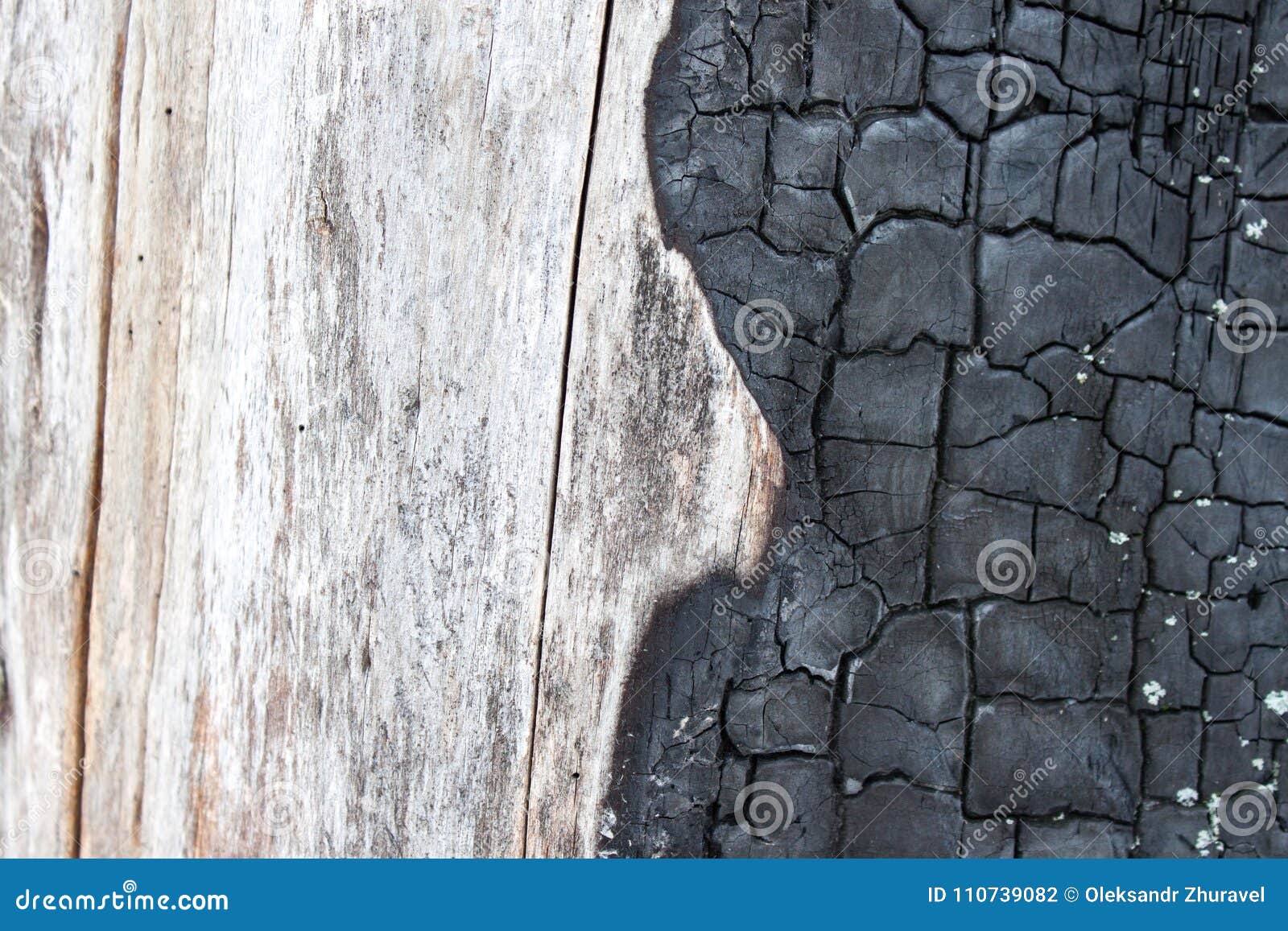 Textura De Madeira Queimada Foto de Stock - Imagem de colheita ...