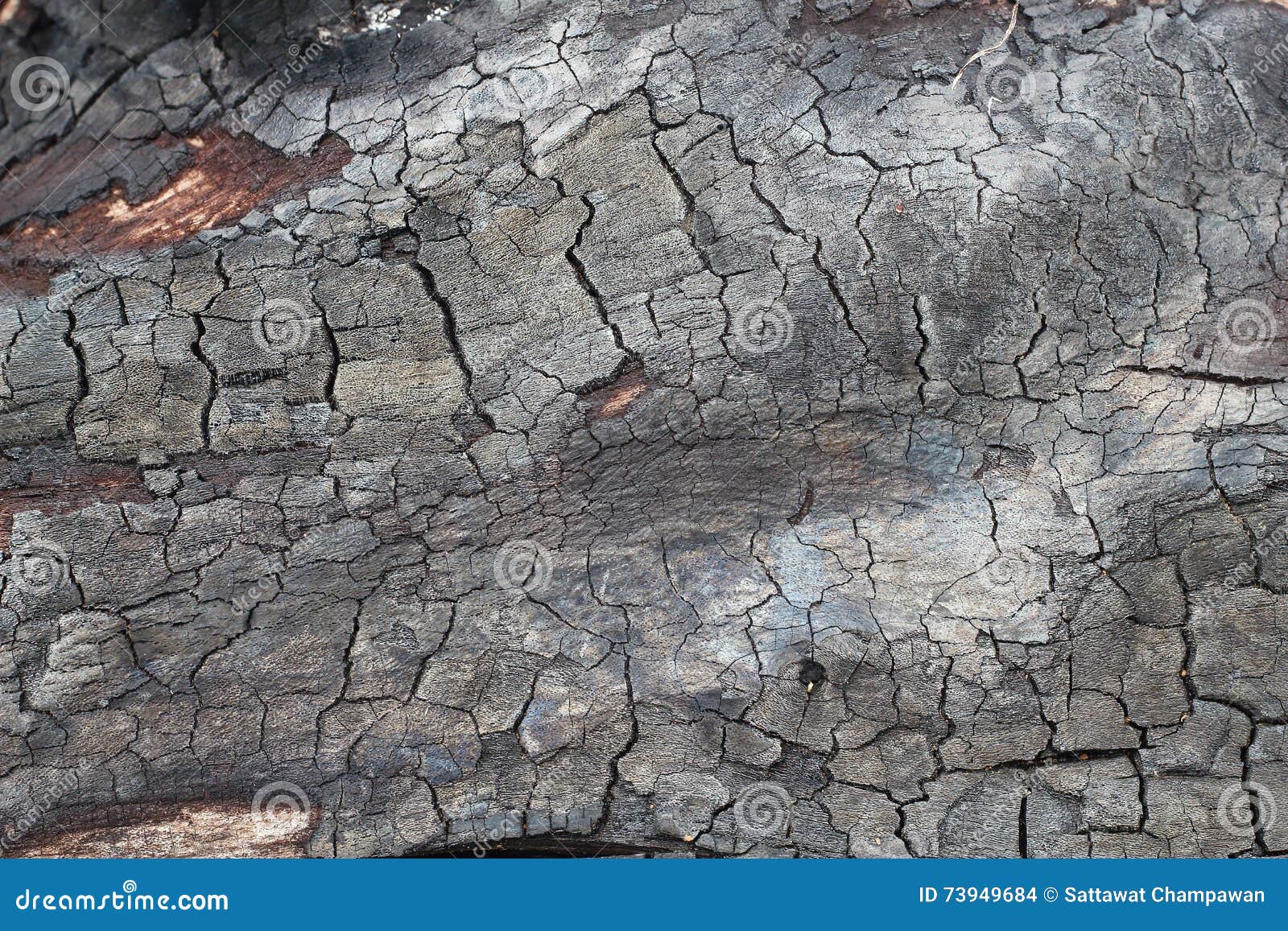 Textura De Madeira Queimada Foto de Stock - Imagem de material, moagem ...