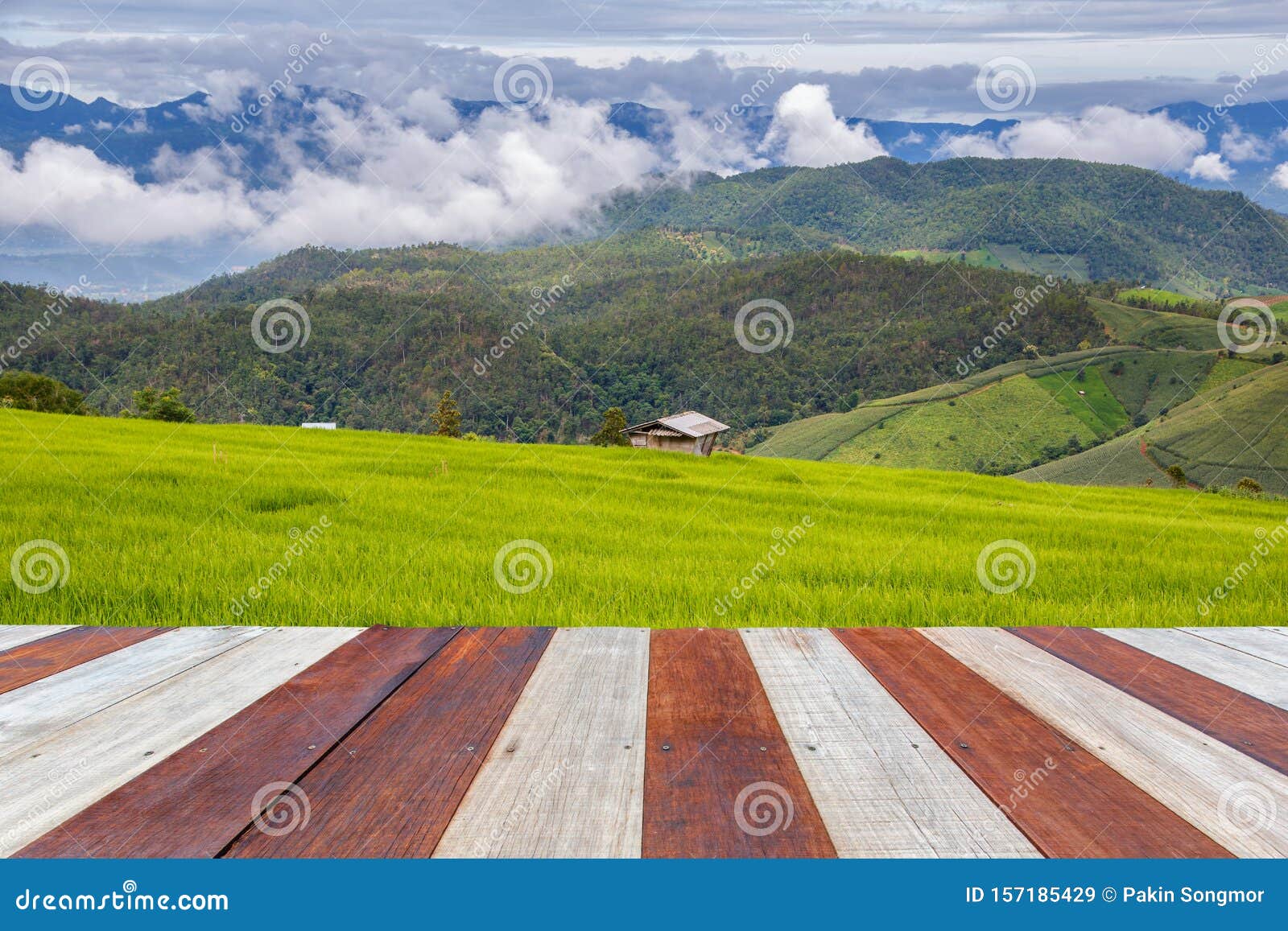 Textura De Madeira De Vindima Com Fundo Matinal E De Campo De Arroz ...