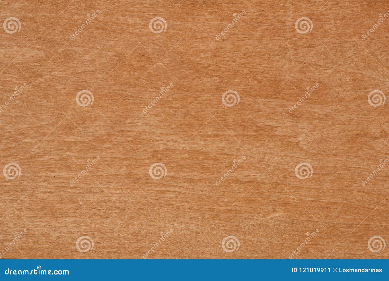 Textura De Madera De Abedul Imagen de archivo - Imagen de superficie ...