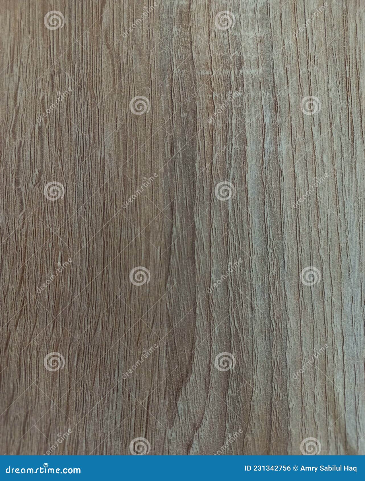 Textura de madera clara foto de archivo. Imagen de brillante - 231342756