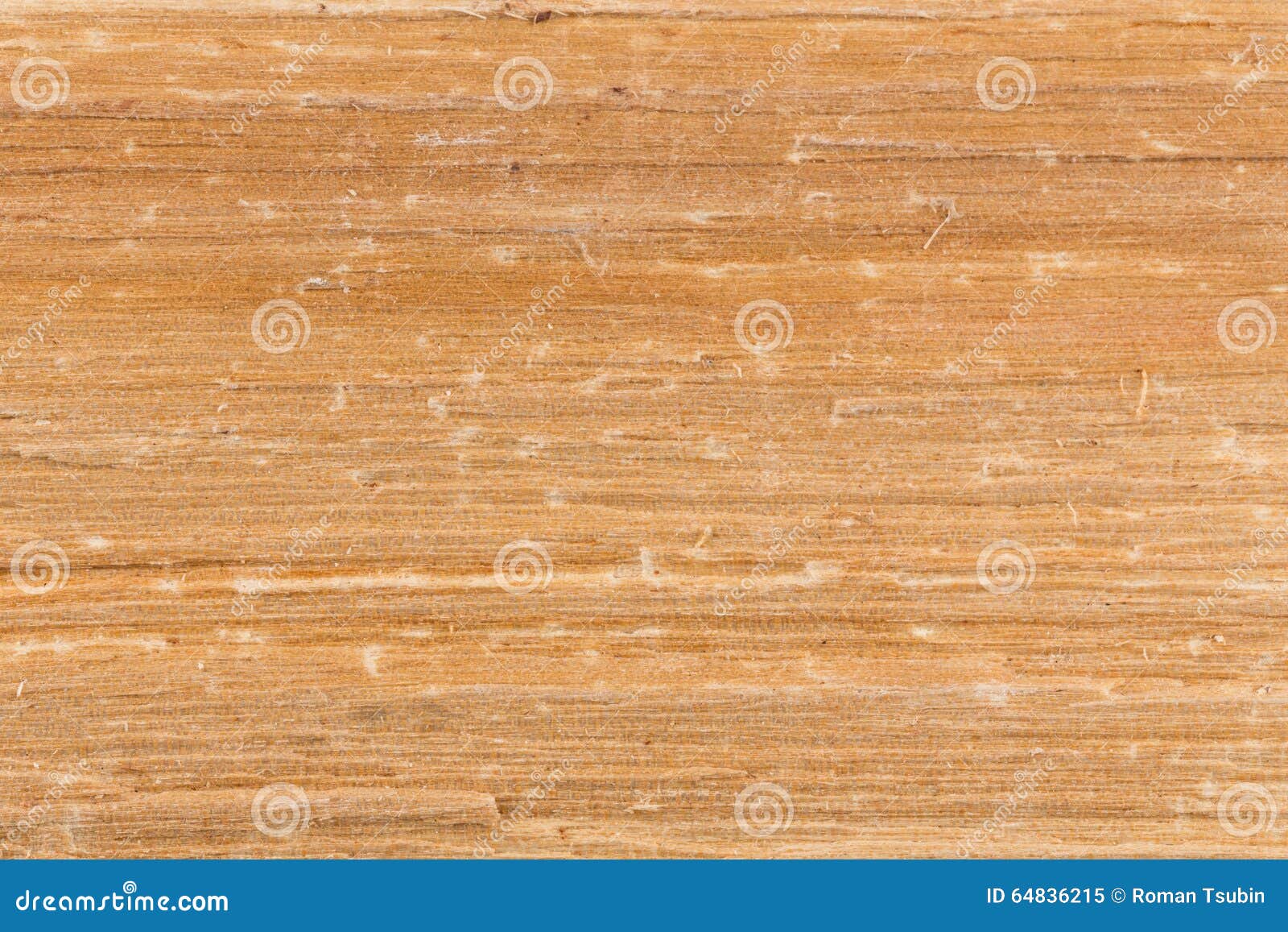 Textura De Madera De Abedul Imagen de archivo - Imagen de macro, casa ...